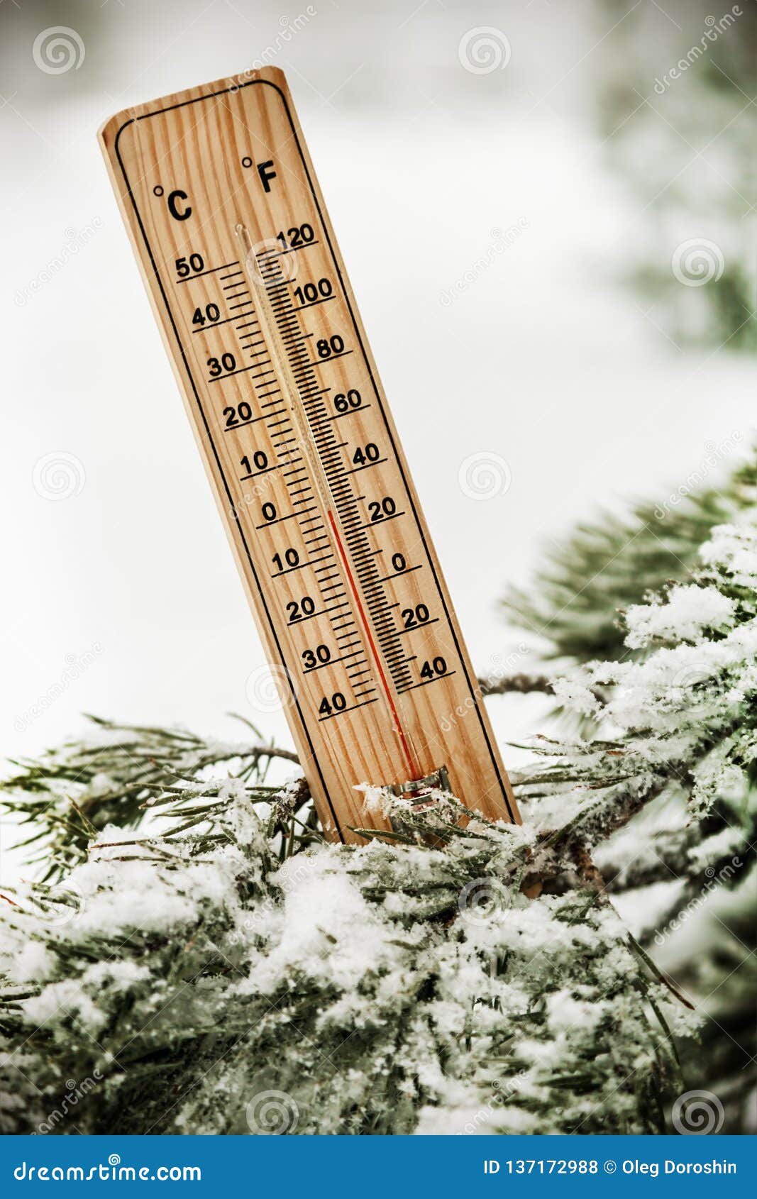 Thermometer with Sub-zero Temperatures on the Branch of a Tree Stock ...