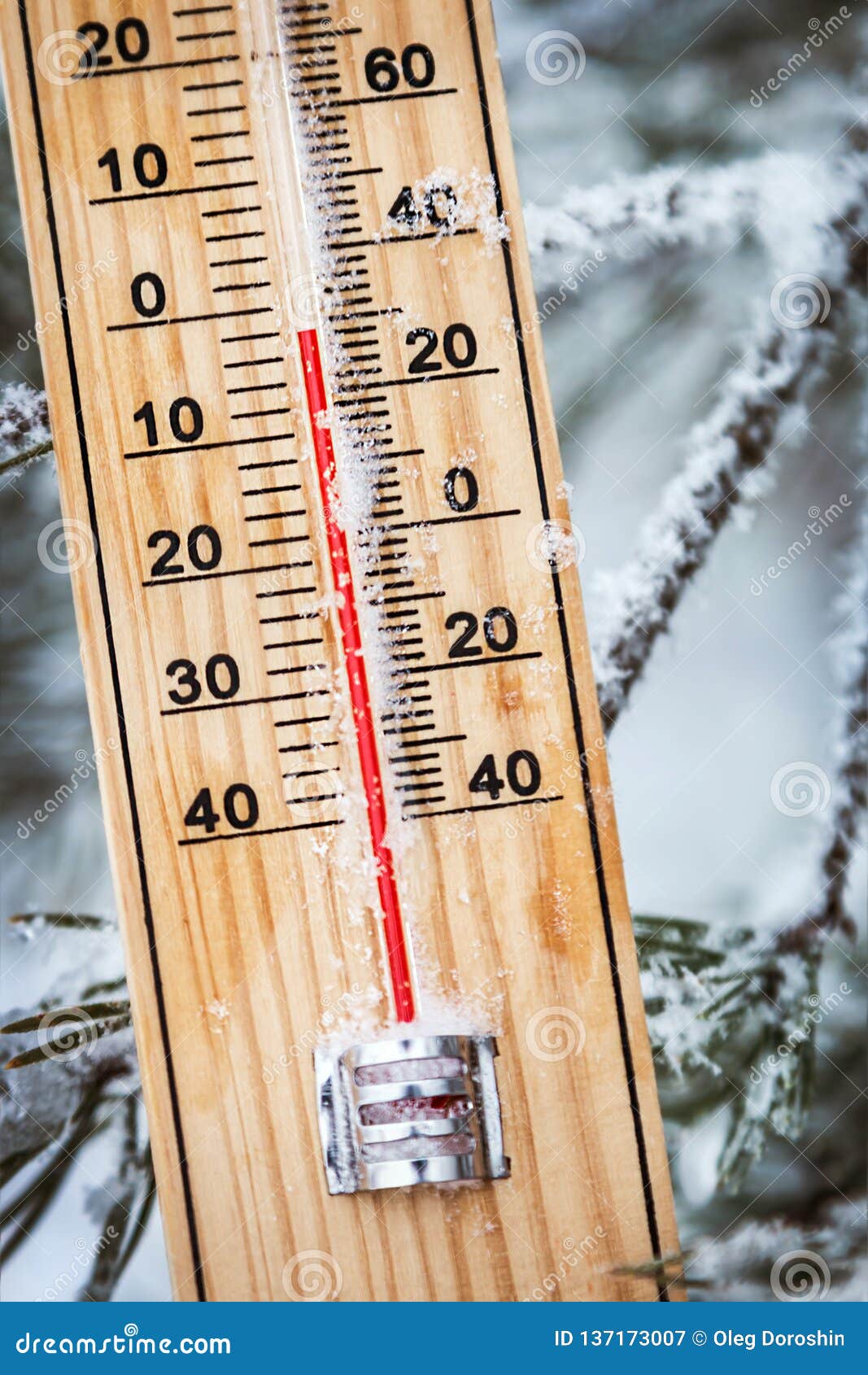 Thermometer with Subzero Temperature Stuck in the Snow in the Winter ...