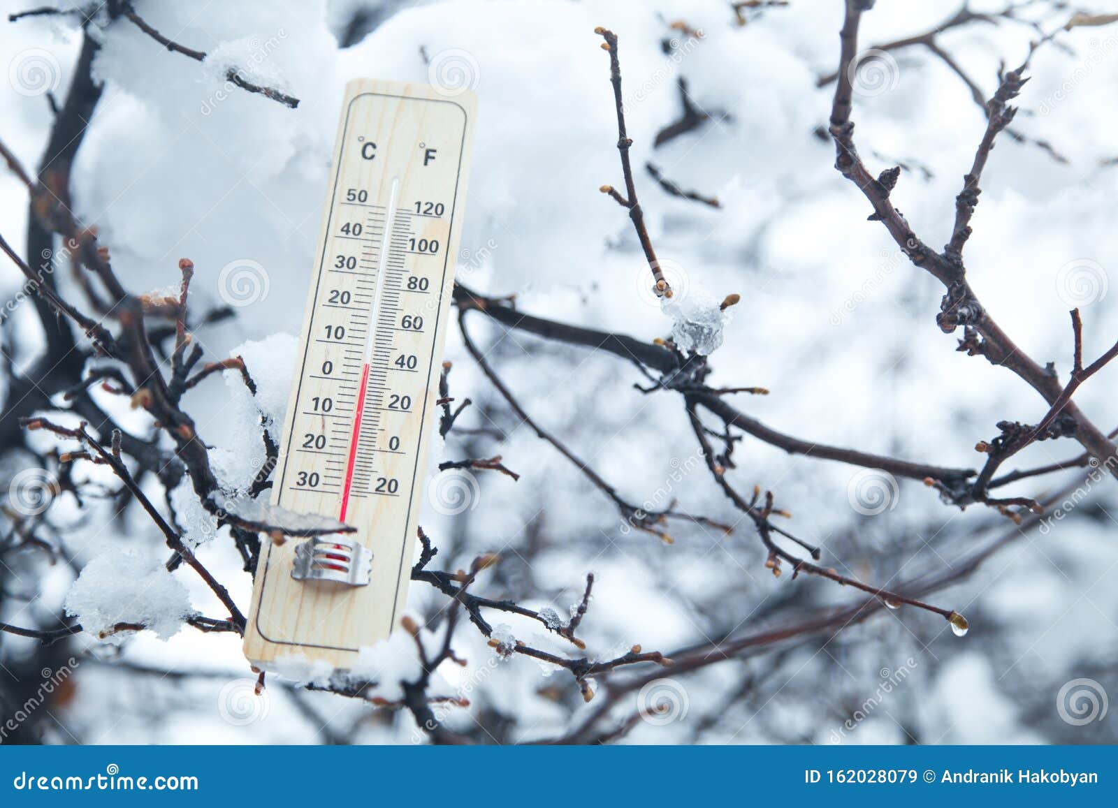 Thermometer in Tree. Temperature, Winter Stock Image - Image of celsius ...