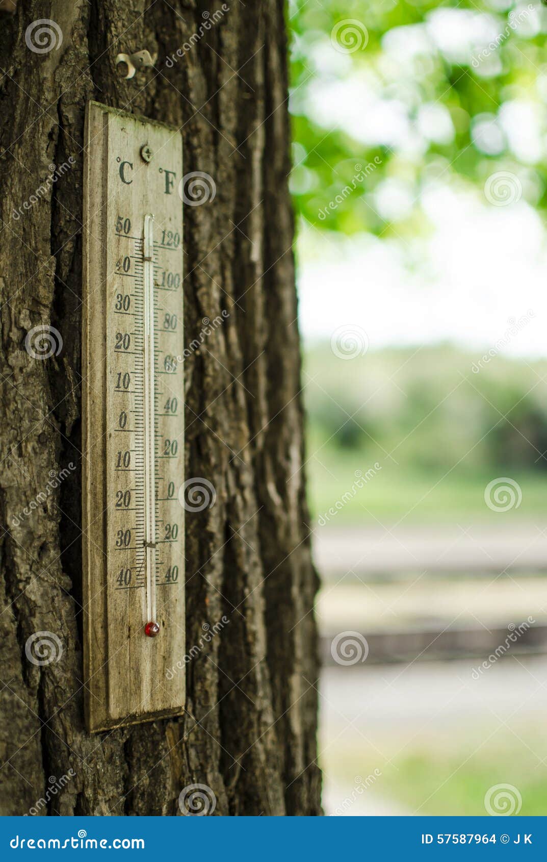 Thermometer on a Tree Trunk Stock Photo - Image of zero, spring: 57587964