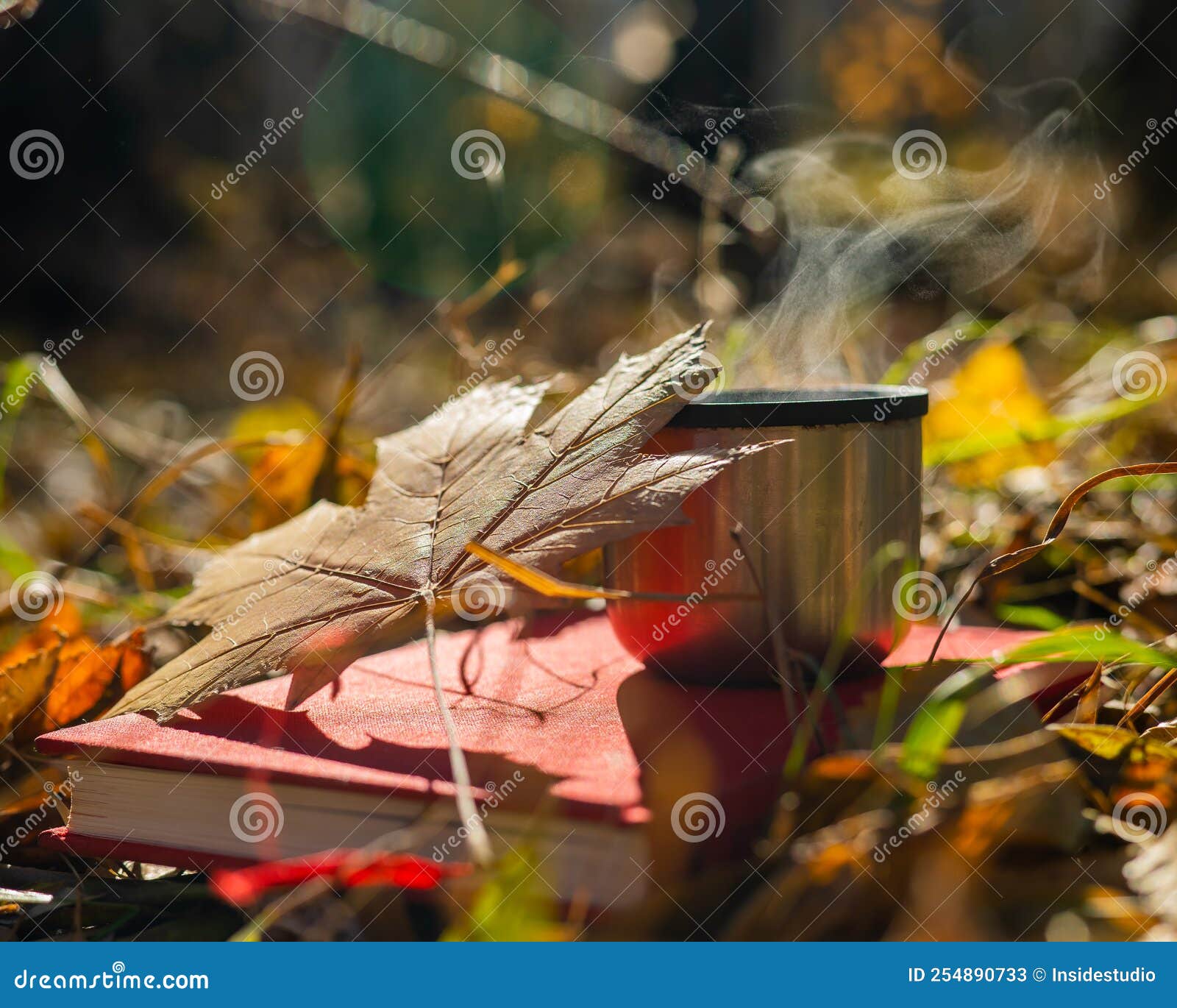 Thermos of Hot Tea Red Book and Yellow Fallen Maple Leaf in Autumn ...