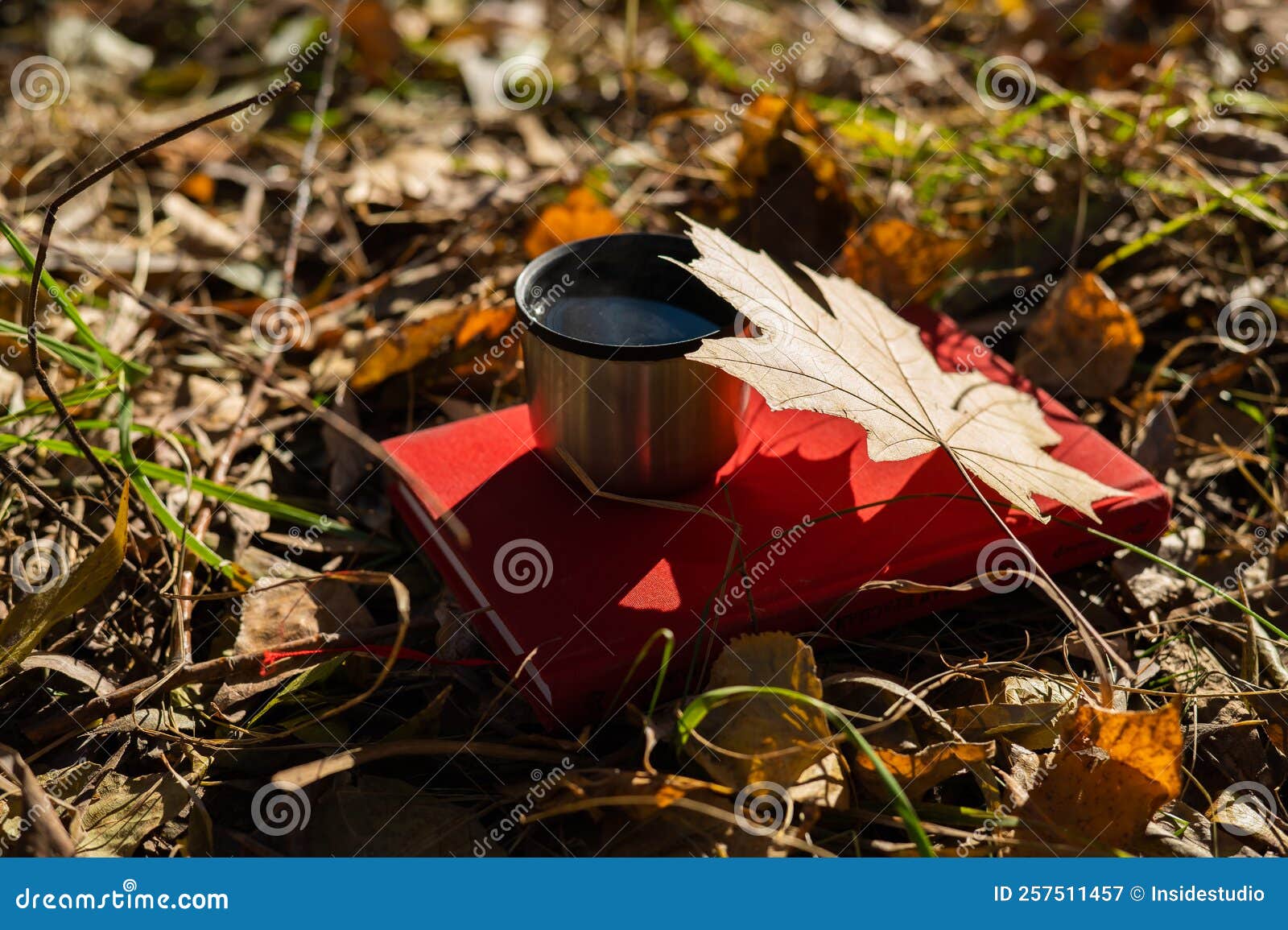Thermos of Hot Tea Red Book and Yellow Fallen Maple Leaf in Autumn ...
