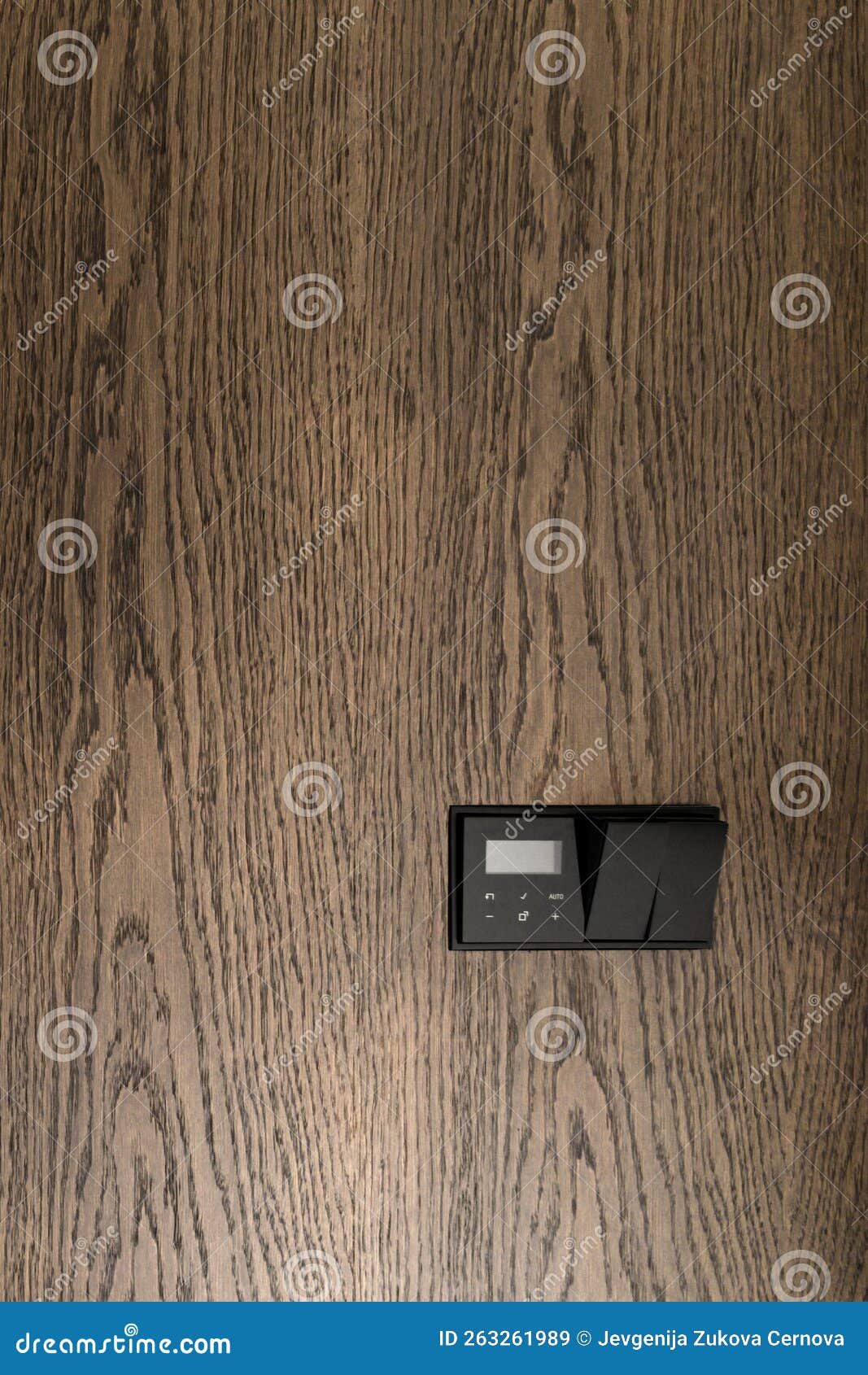 Thermostat Mounted on Oak Wall. Modern Programmable Thermostat ...