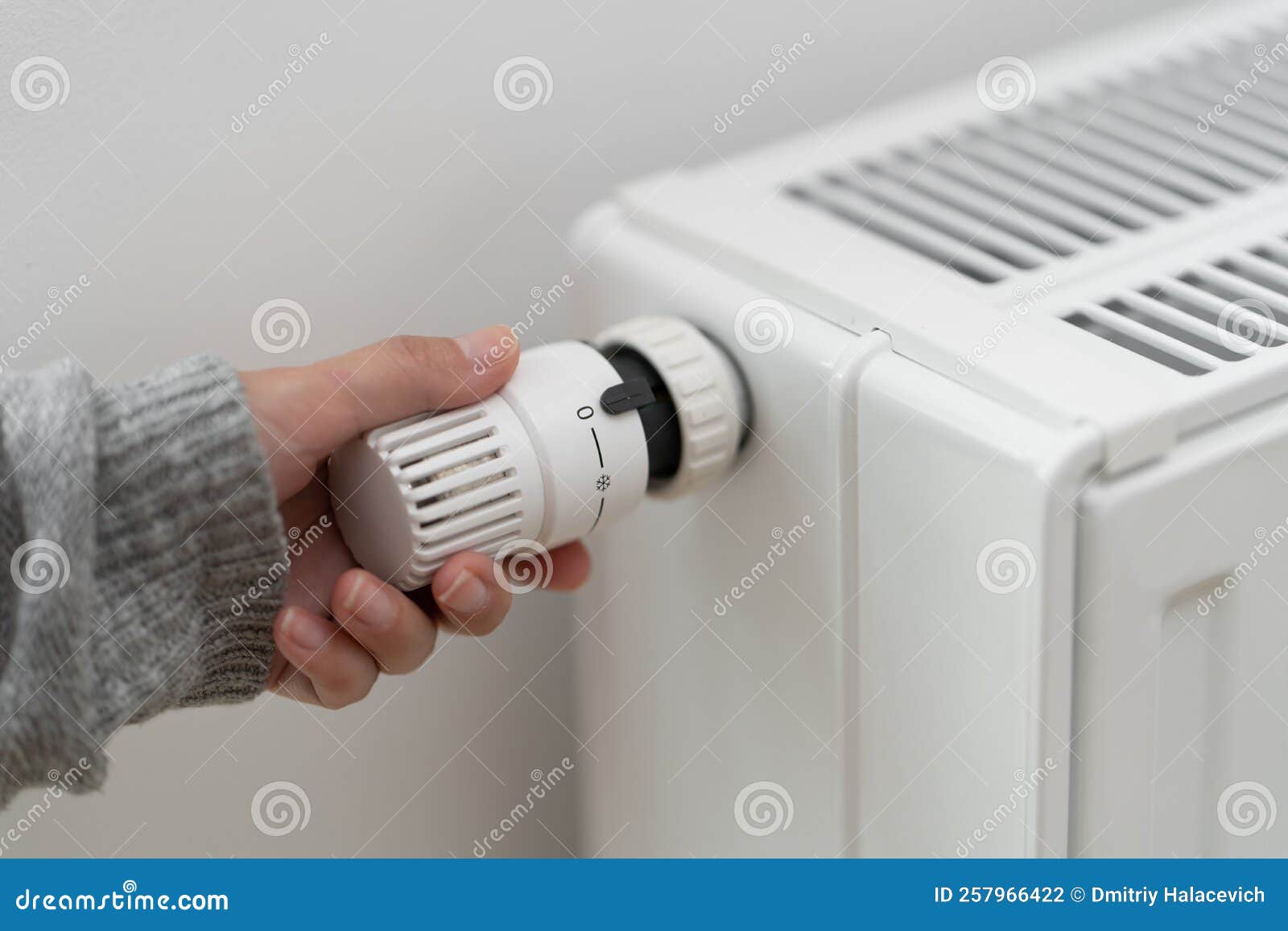 The Thermostat Regulating the Radiator Temperature is Set To the Off ...