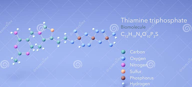 Thiamine Triphosphate, Molecular Structures, Biomolecule, 3d Model ...
