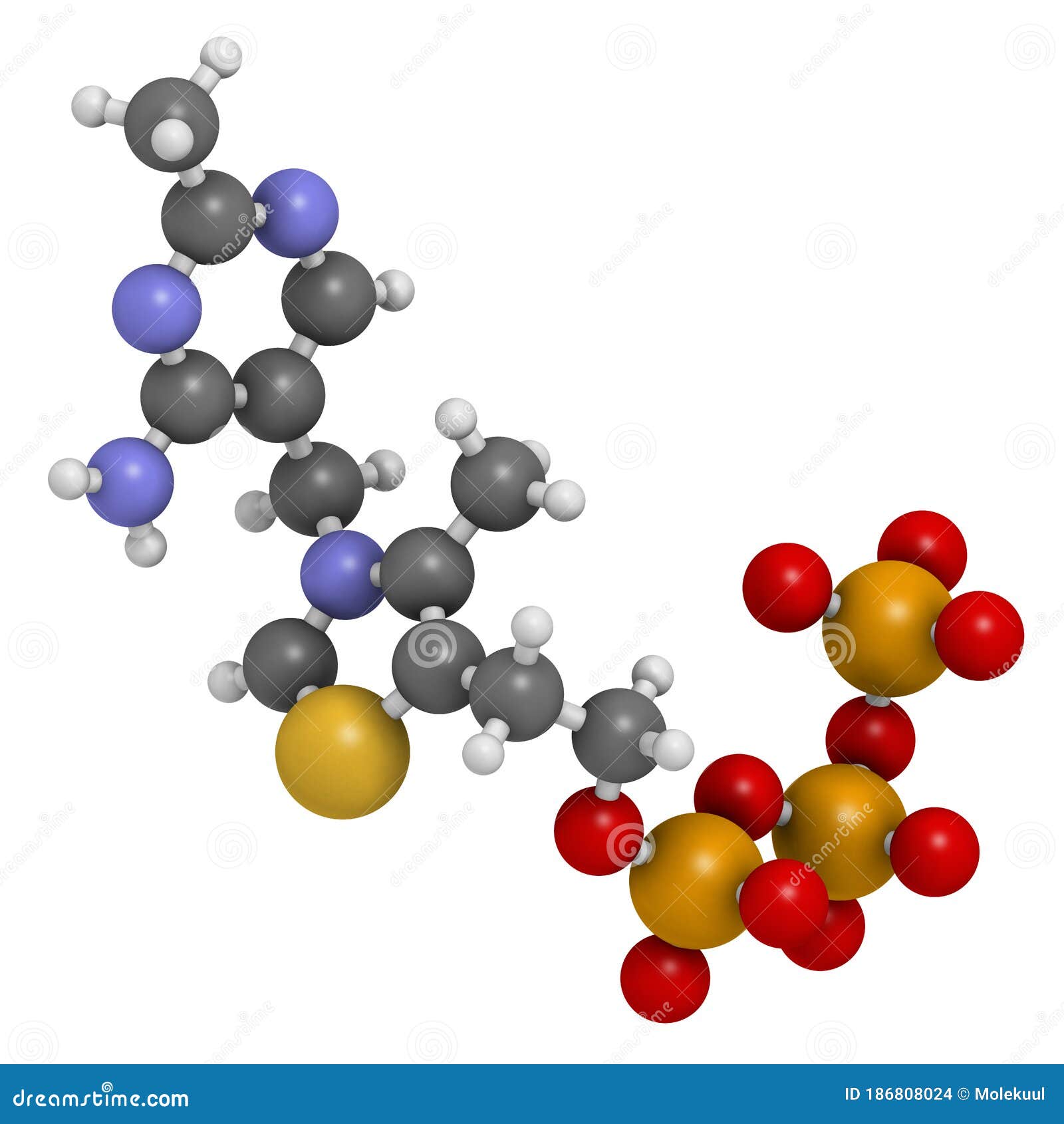 Thiamine Triphosphate Molecule. 3D Rendering Stock Illustration ...