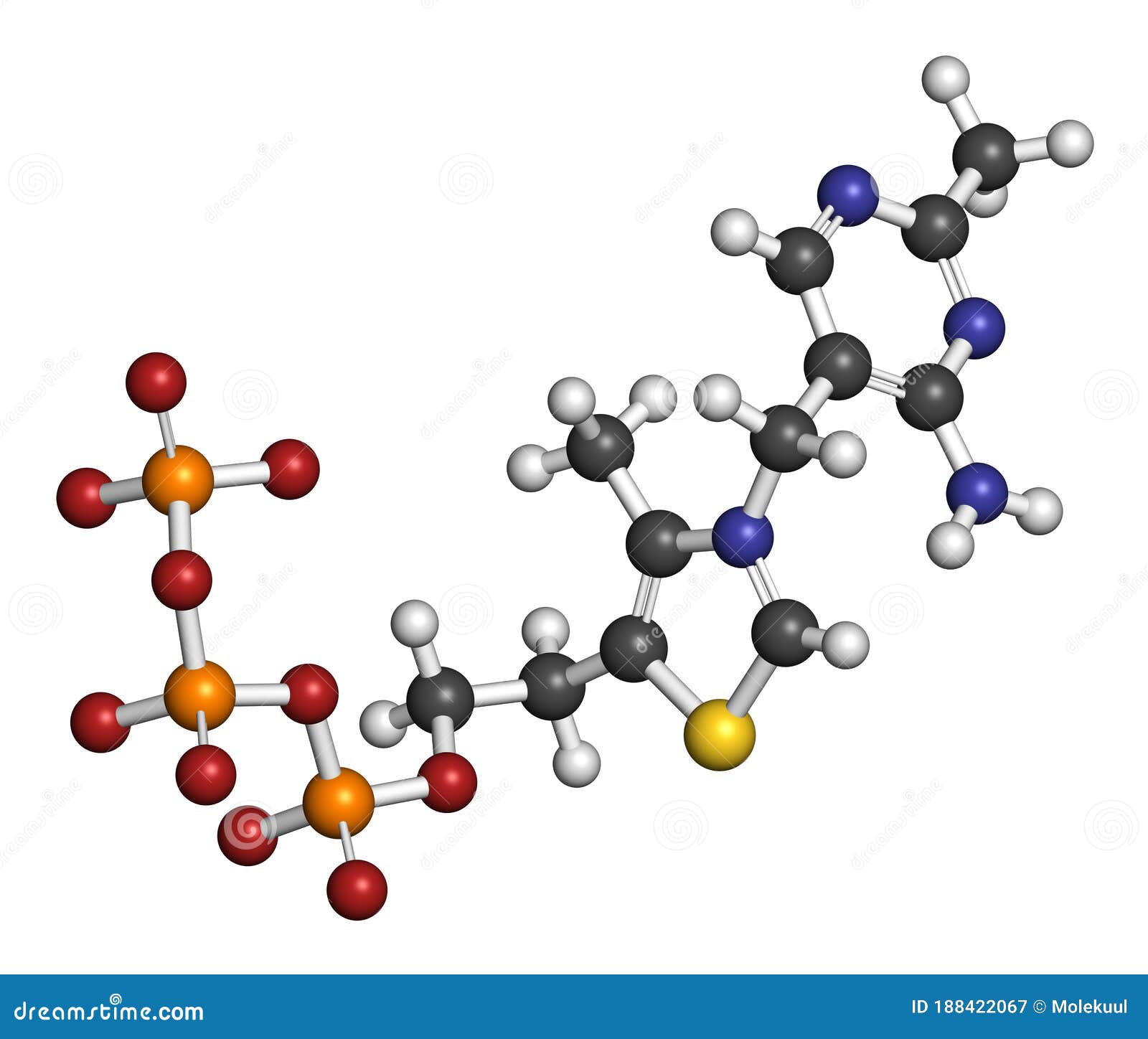 Thiamine Triphosphate, Molecular Structures, Biomolecule, 3d Model ...