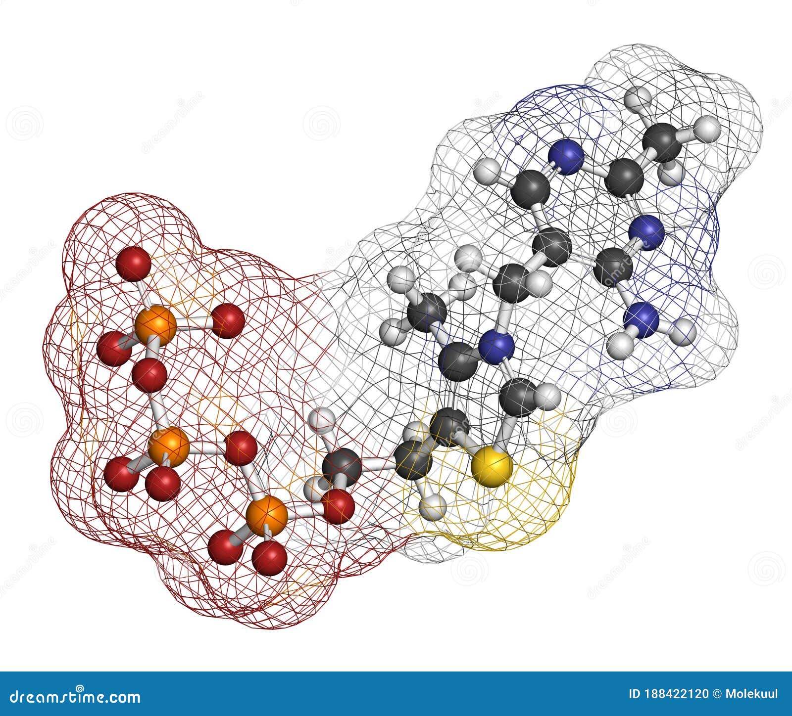 Thiamine Triphosphate Molecule. 3D Rendering Stock Illustration ...