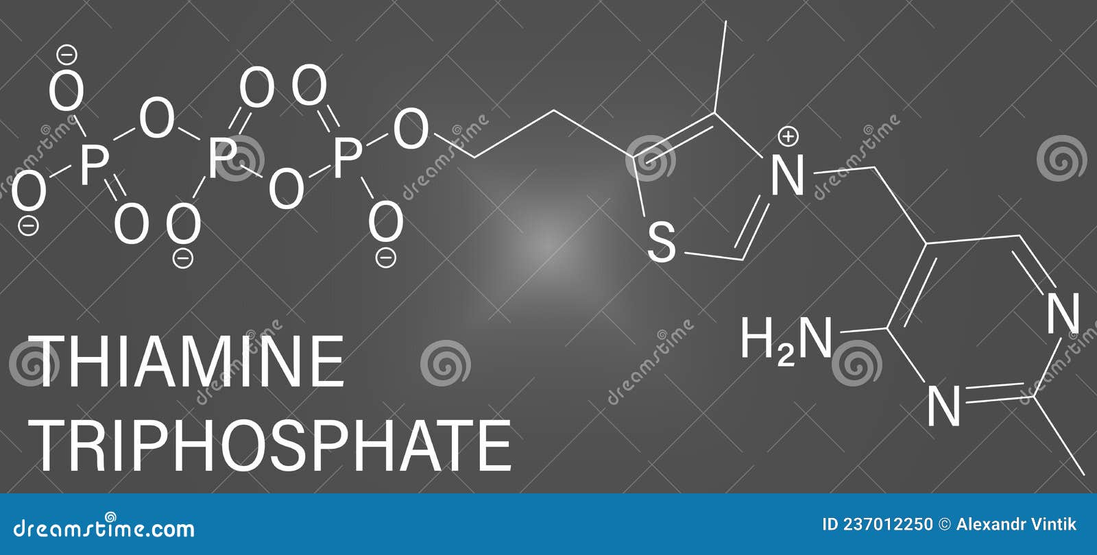 Thiamine Triphosphate Molecule. Skeletal Formula. Chemical Structure ...