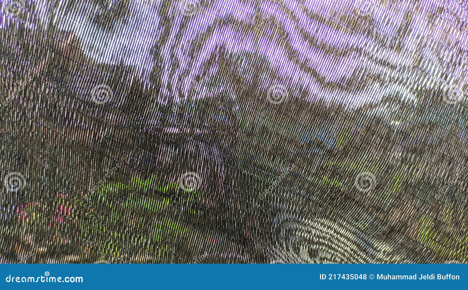 Thick black paranet wall stock photo. Image of flower - 217435048