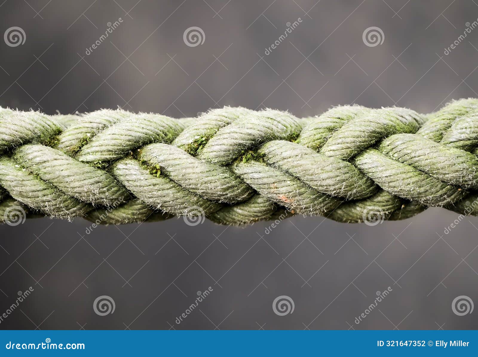 Thick braided rope stock photo. Image of closeup, detail - 321647352