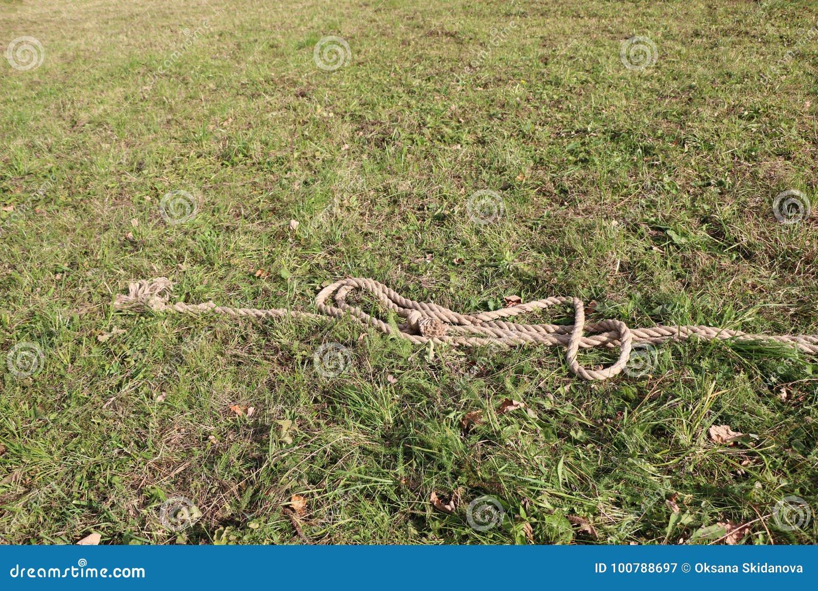 Thick Braided Rope on the Grass Stock Image - Image of green, coil ...