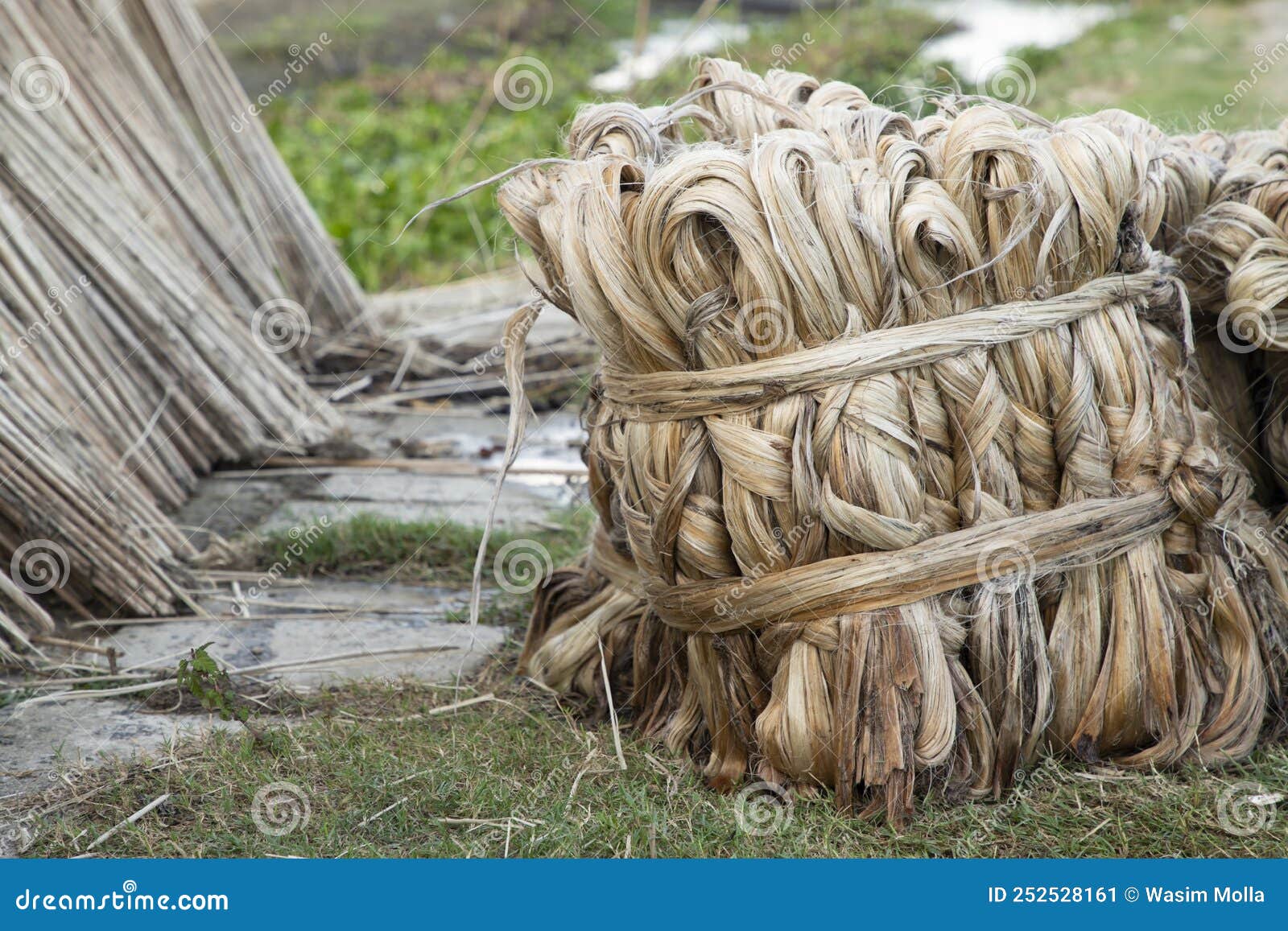 A Thick Brown Bundle of Raw Jute Has on the Ground Stock Image - Image ... A Thick Brown Bundle of Raw Jute Has on the Ground Stock Image - Image ...