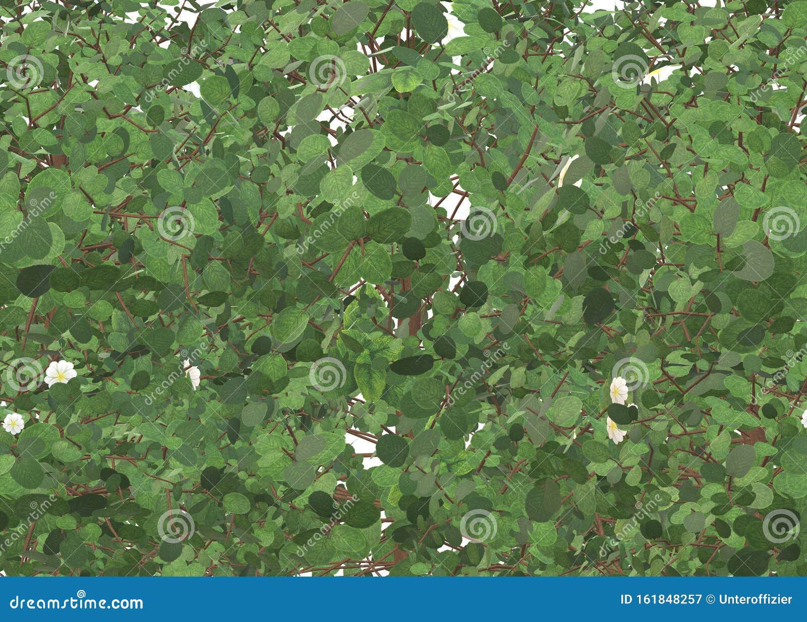 A Thick Bushes Shrubs Foliage As Backdrop Background Stock Illustration ...