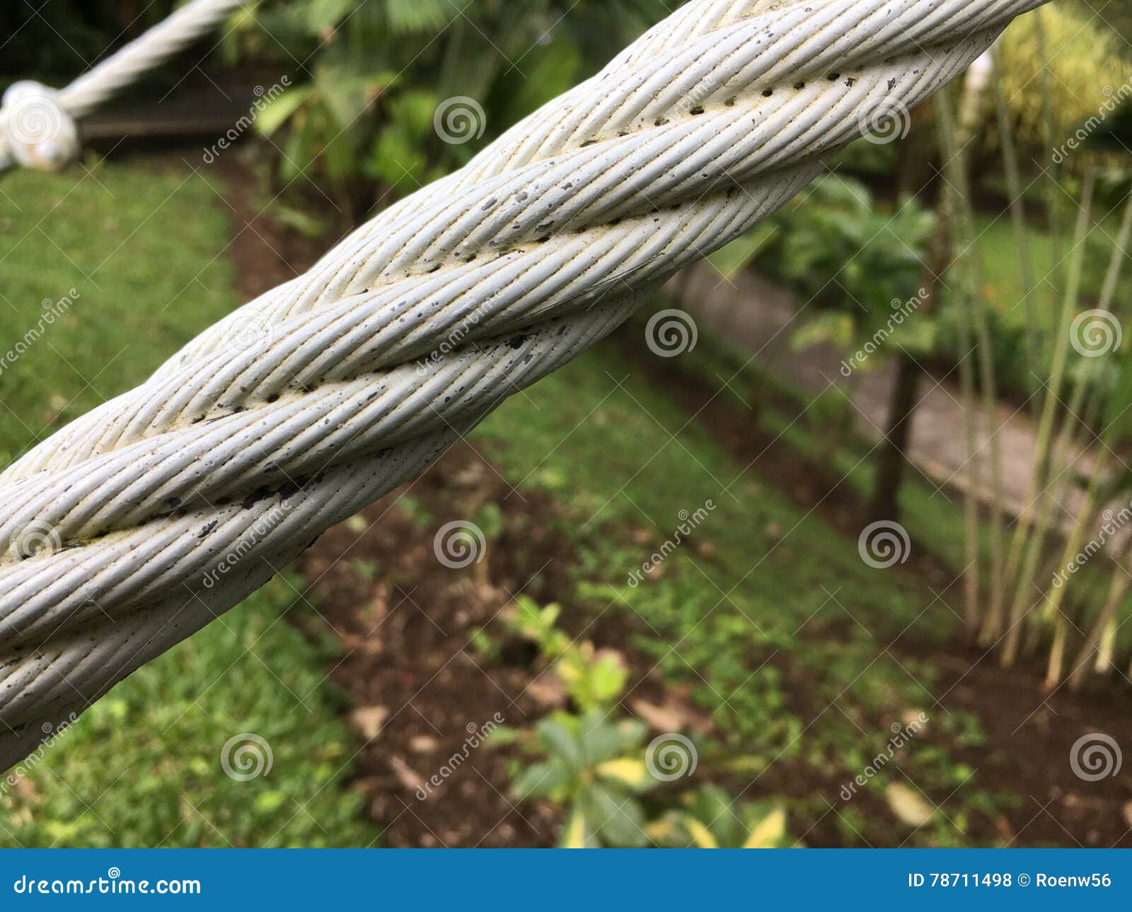 Thick cable. stock photo. Image of bridge, outdoors, costa - 78711498