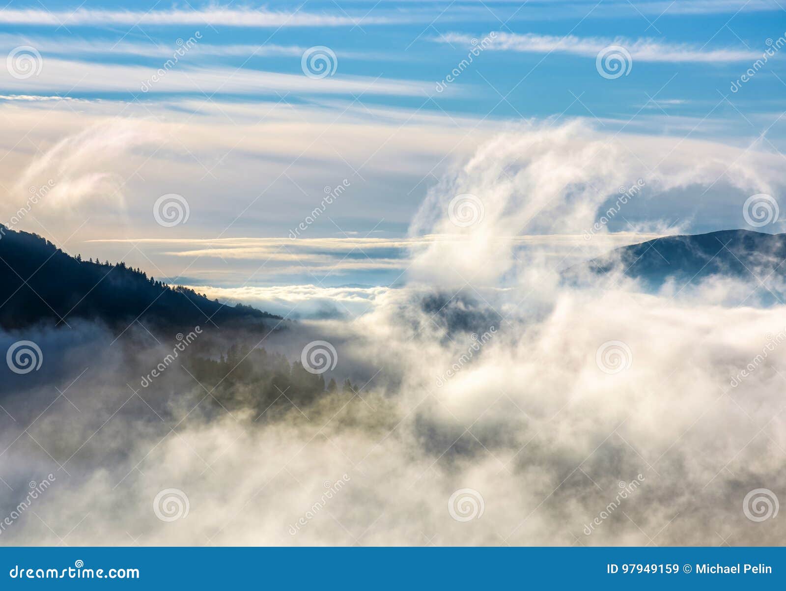Thick Cloud Of Flying Insects Royalty-Free Stock Photography ...
