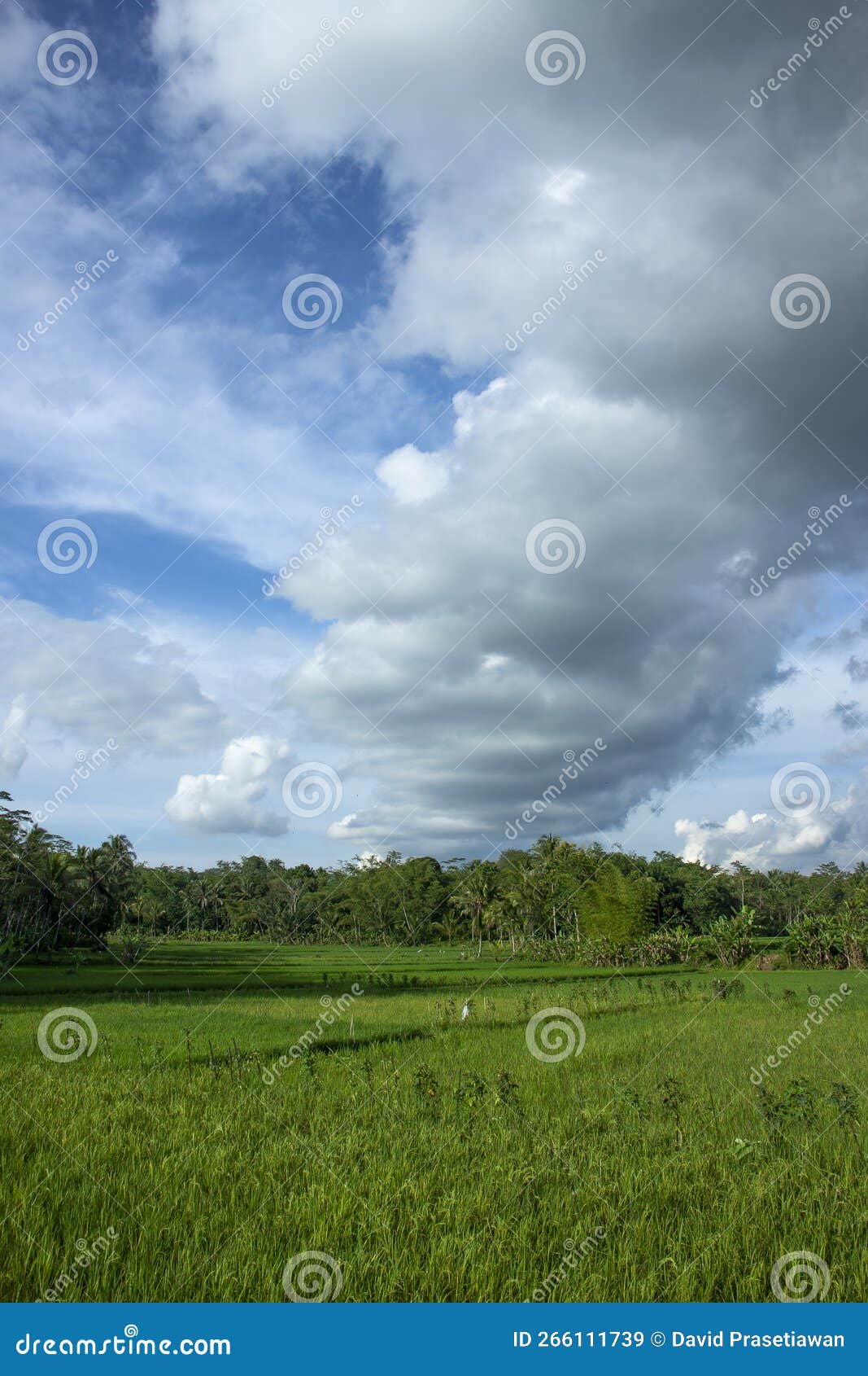 Thick Clouds Over the Fields Stock Image - Image of pasture, clouds ...