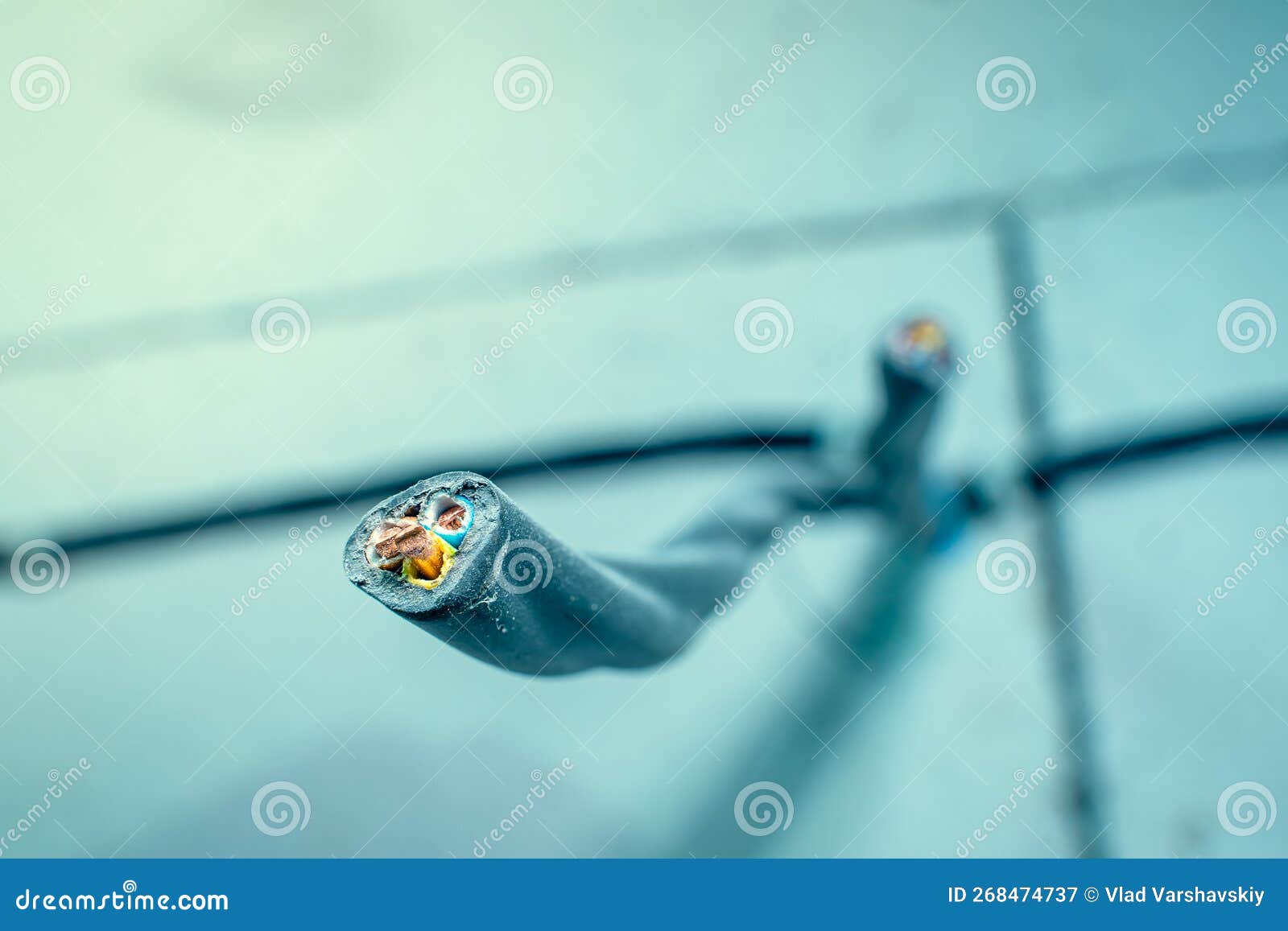 Thick Copper Three-core Cable in a Black Braid Close-up on a Blurred ...