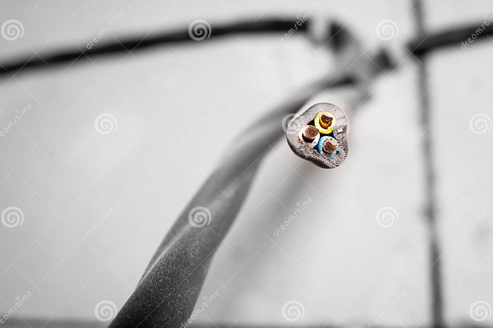 Thick Copper Three-core Cable in a Black Braid Close-up on a Blurred ...
