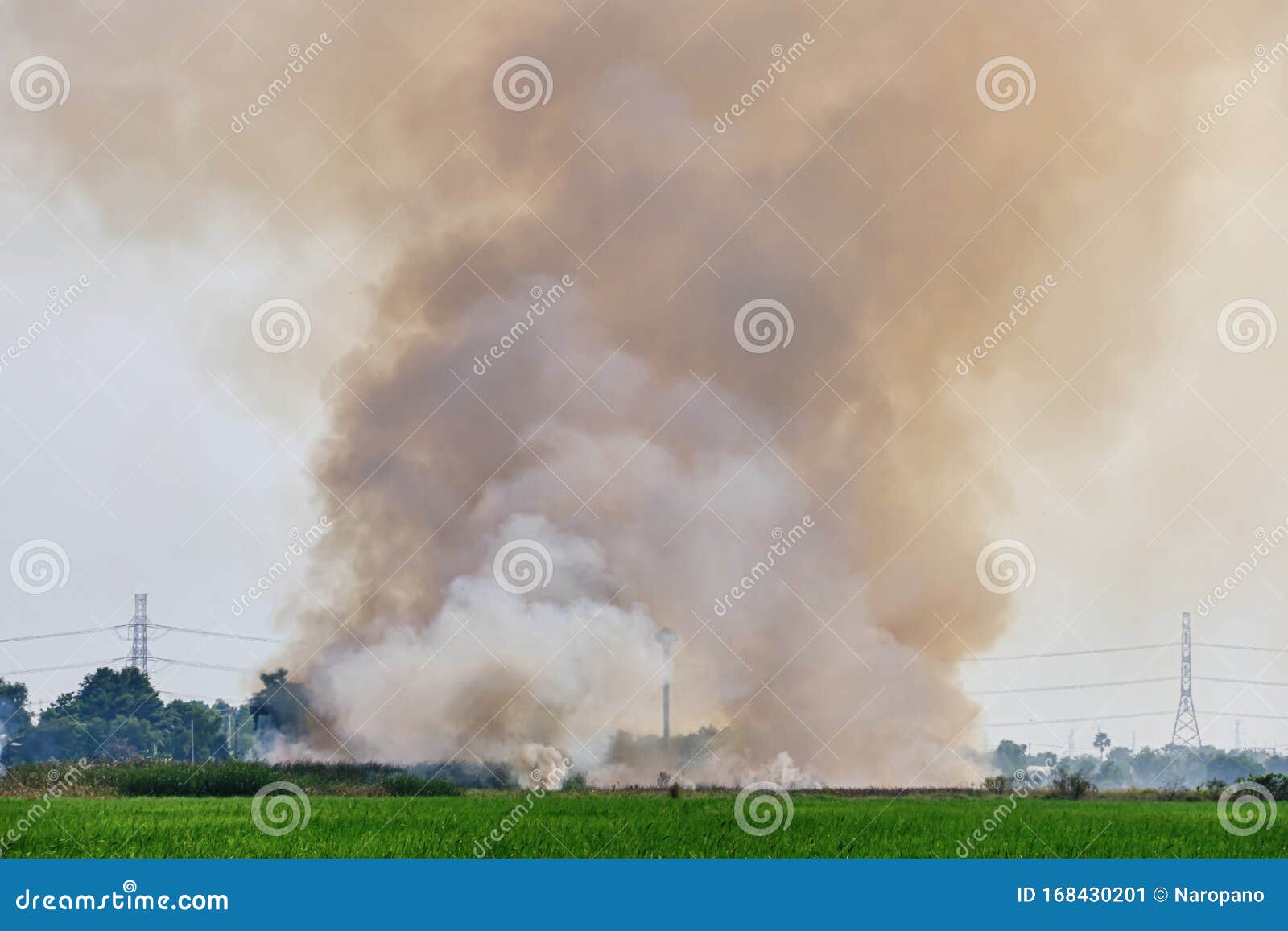 Thick Dark Smoke from a Fire at Wilderness Stock Image - Image of ...