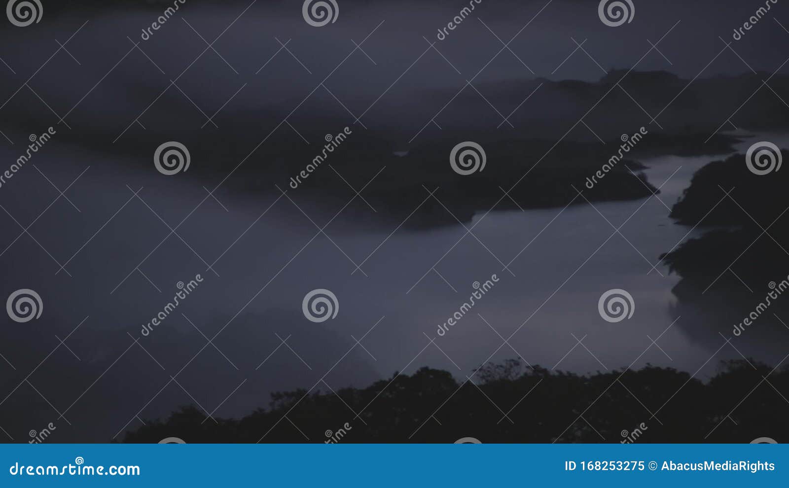 Thick Fog through Forest and River Stock Video - Video of gradient ...