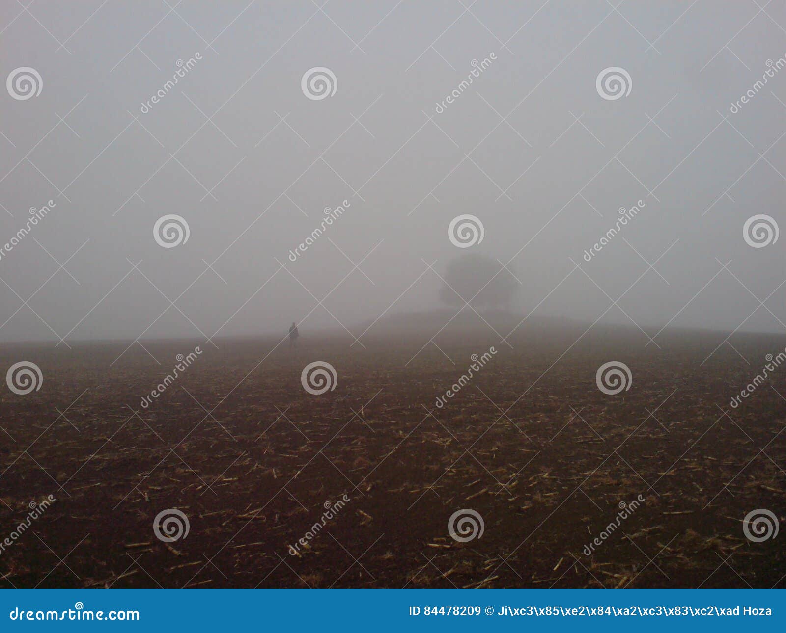 Thick Fog stock image. Image of white, foggy, mlha, covered - 84478209