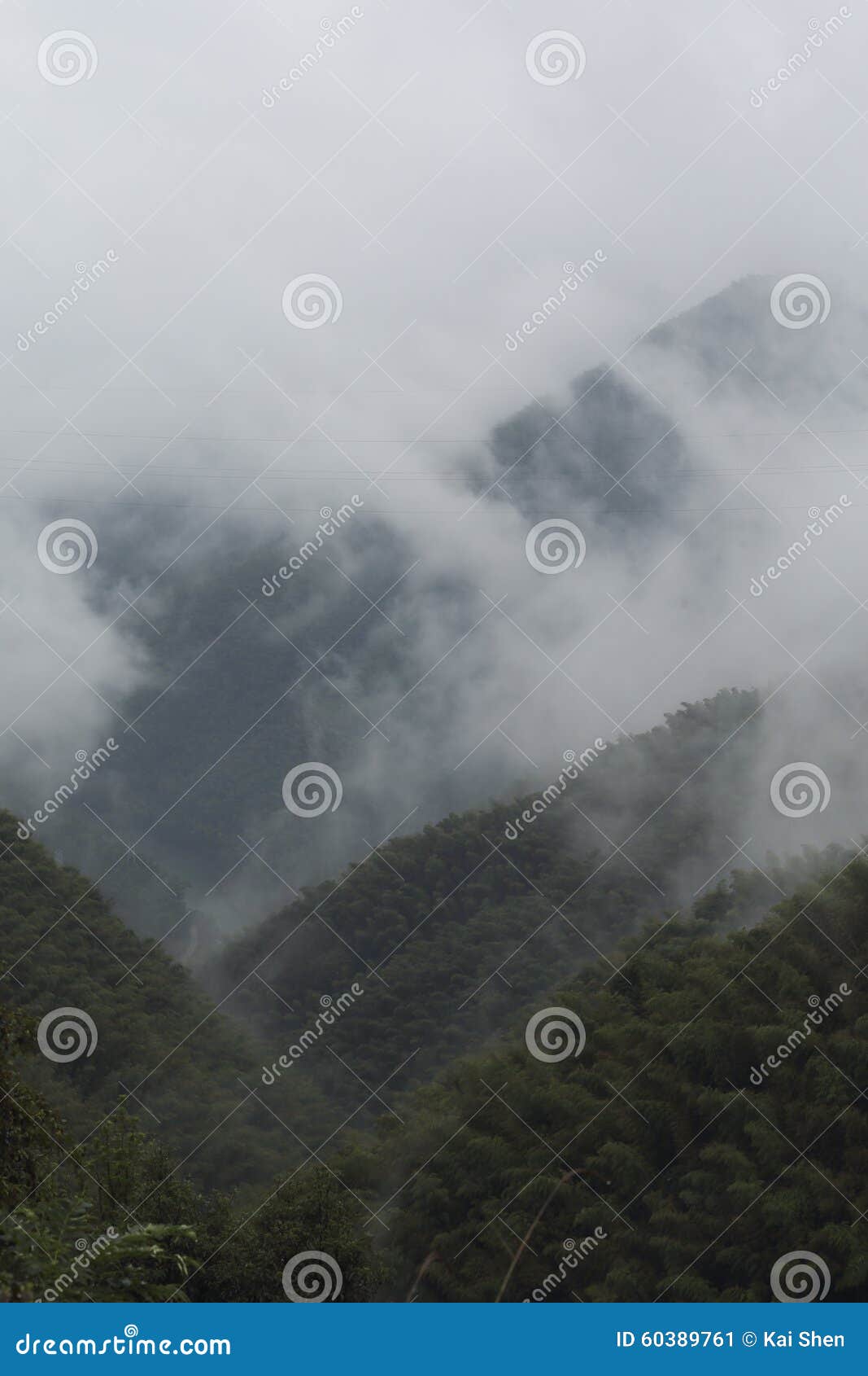 Thick fog on the rise stock image. Image of quiet, cover - 60389761