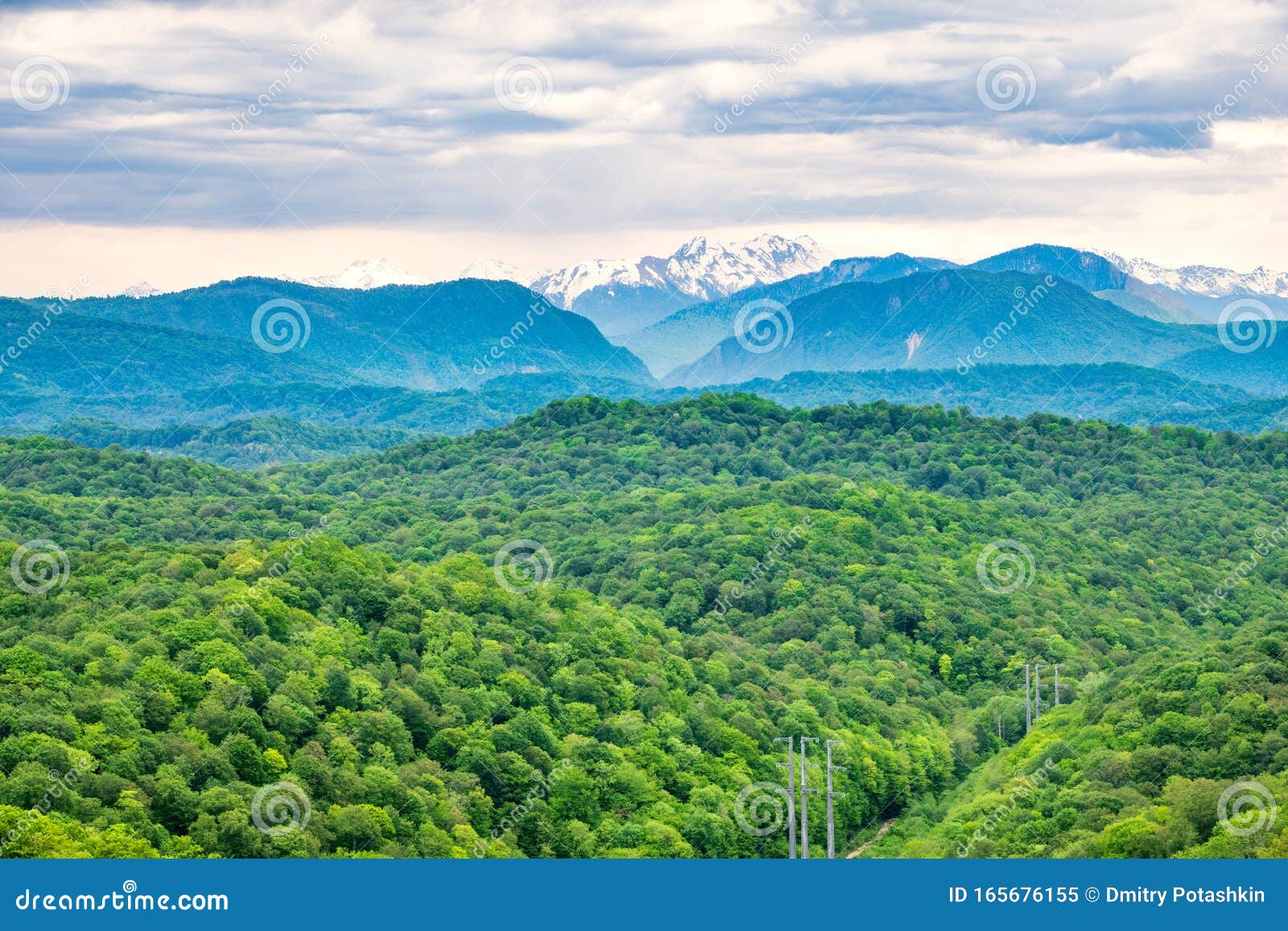 Thick Forest in a Green Valley. Snow Capped Mountains Visible on the ...