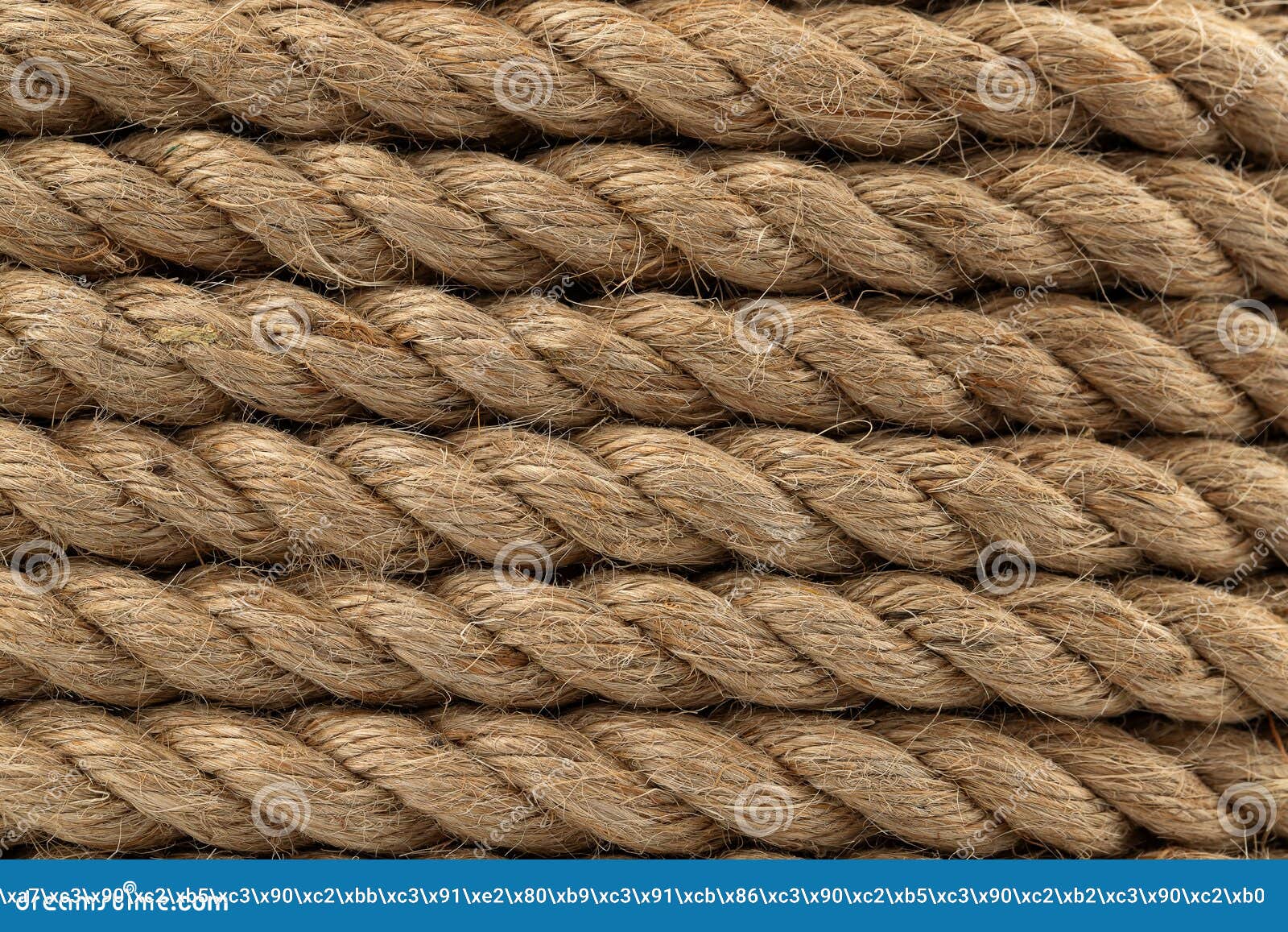 A Thick Hemp Rope Is Wound Around A Tree. Royalty-Free Stock ...