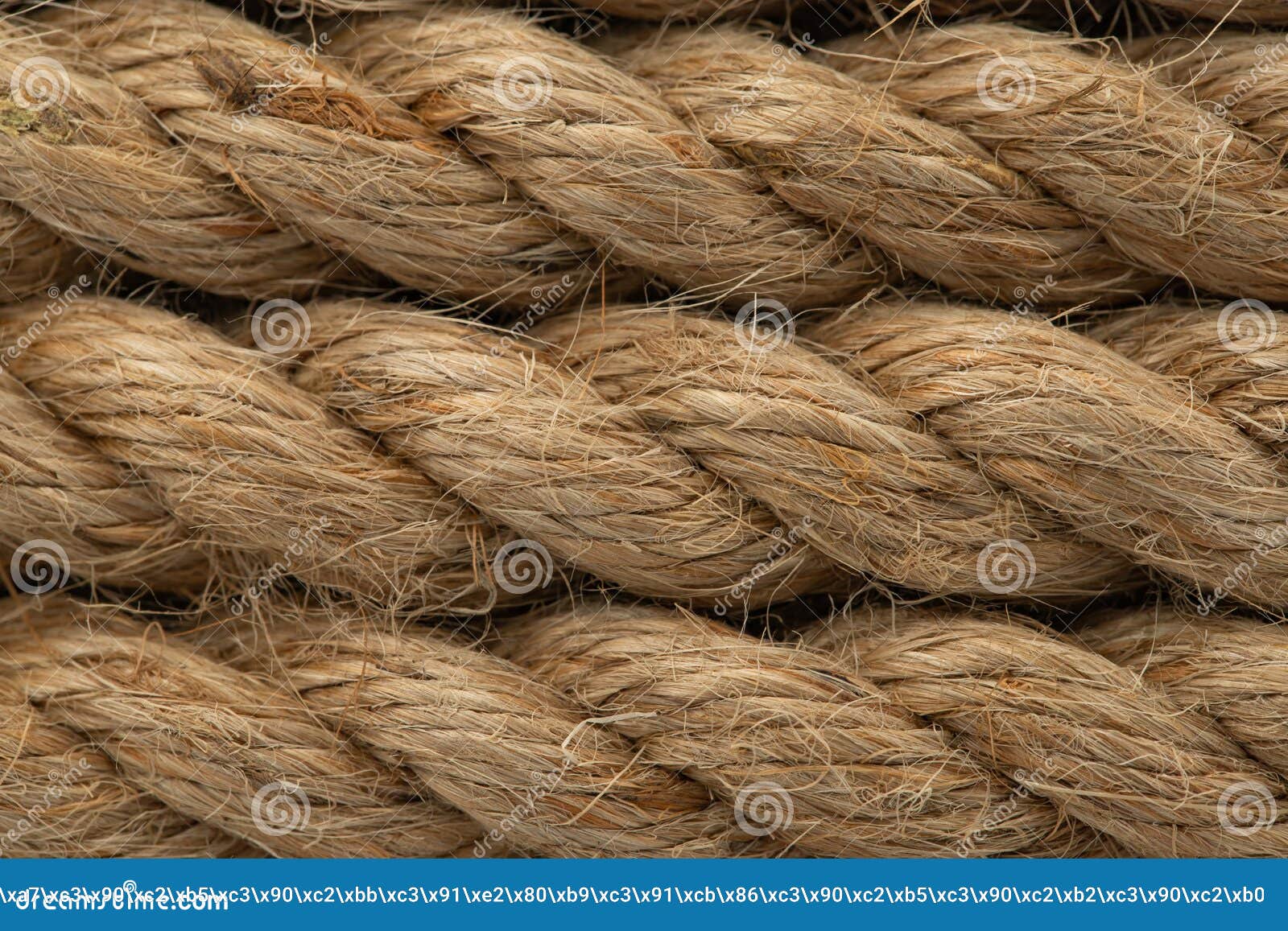 A Thick Hemp Rope Is Wound Around A Tree. Royalty-Free Stock ...