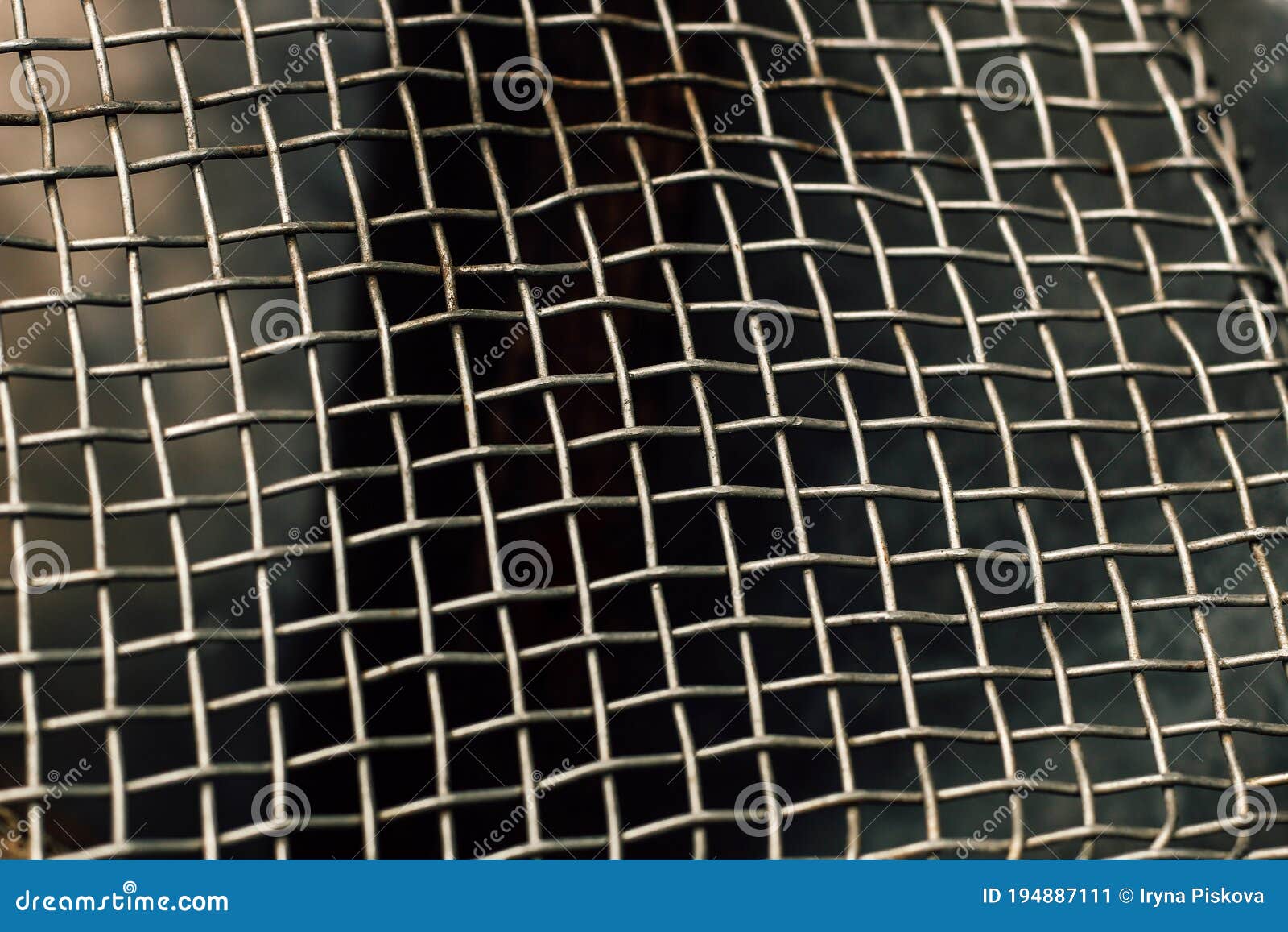 Thick Iron Bars of the Cage. Stock Image - Image of bars, cell: 194887111