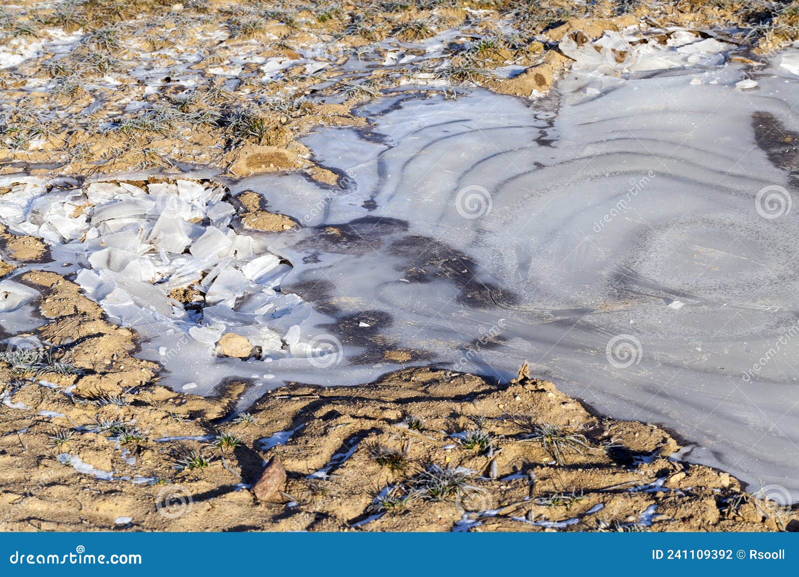 A Thick Layer of Ice Formed on the Territory of the Field Stock Photo ...