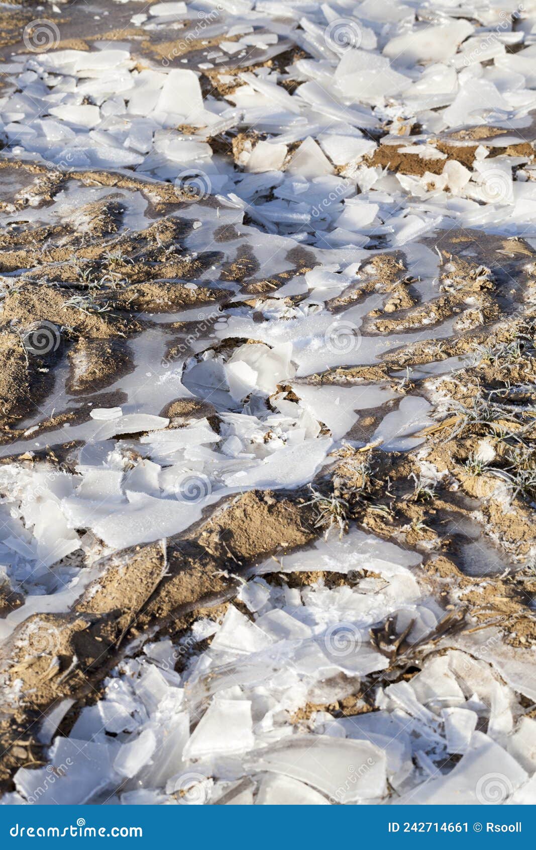A Thick Layer of Ice Formed on the Territory of the Field Stock Image ...