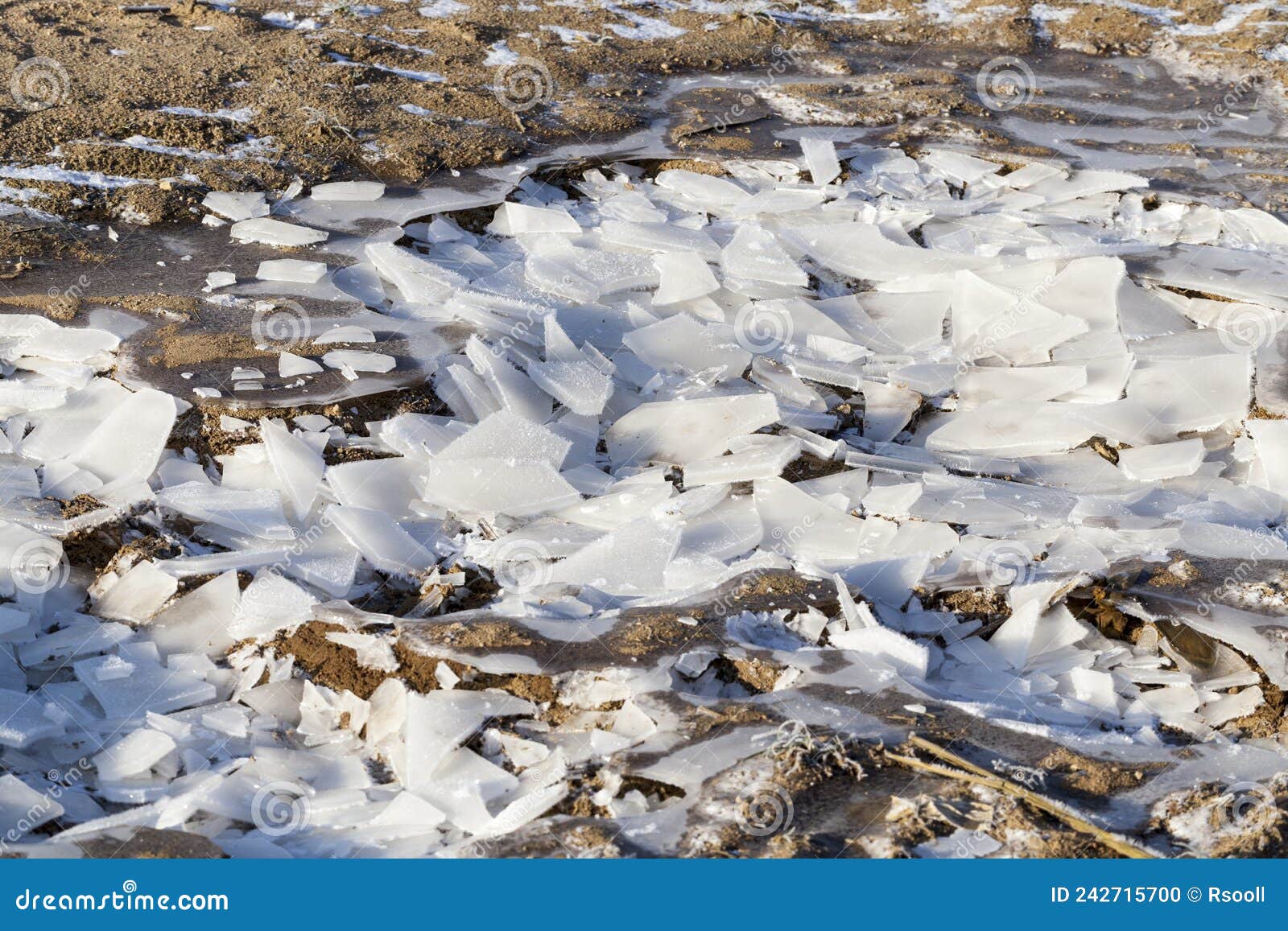 A Thick Layer of Ice Formed on the Territory of the Field Stock Photo ...