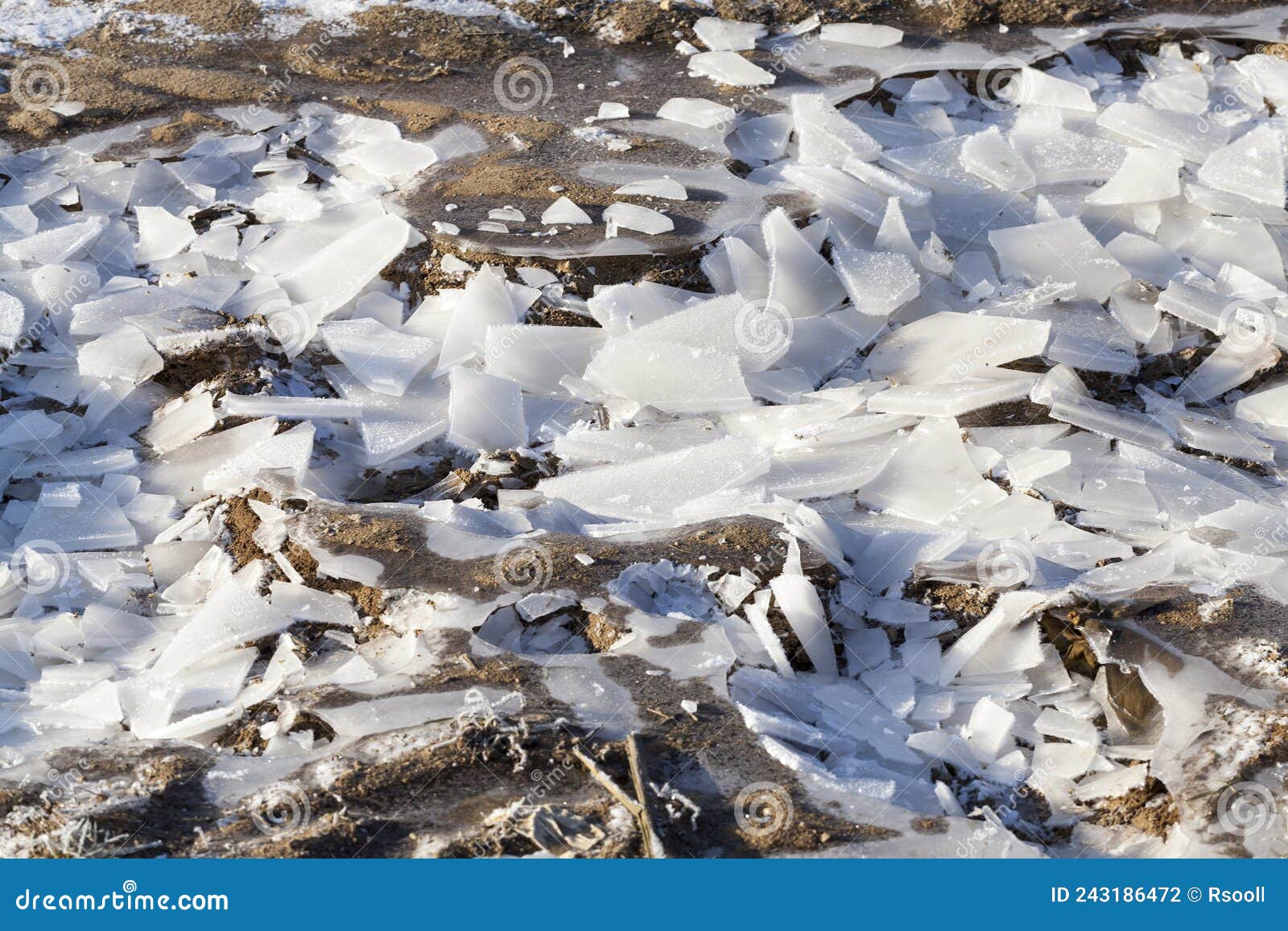 A Thick Layer of Ice Formed on the Territory of the Field Stock Photo ...