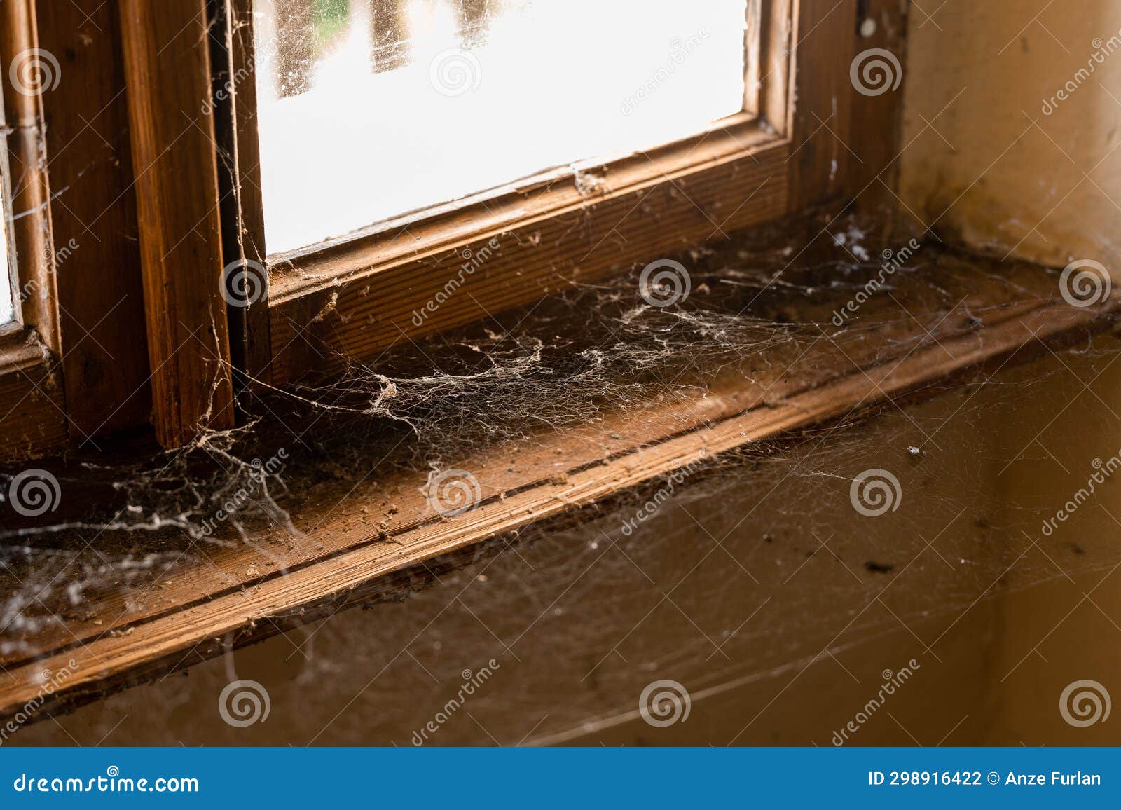 Thick Layer of Spider Webs on a Window Pane. Old Deserted House Feeling ...
