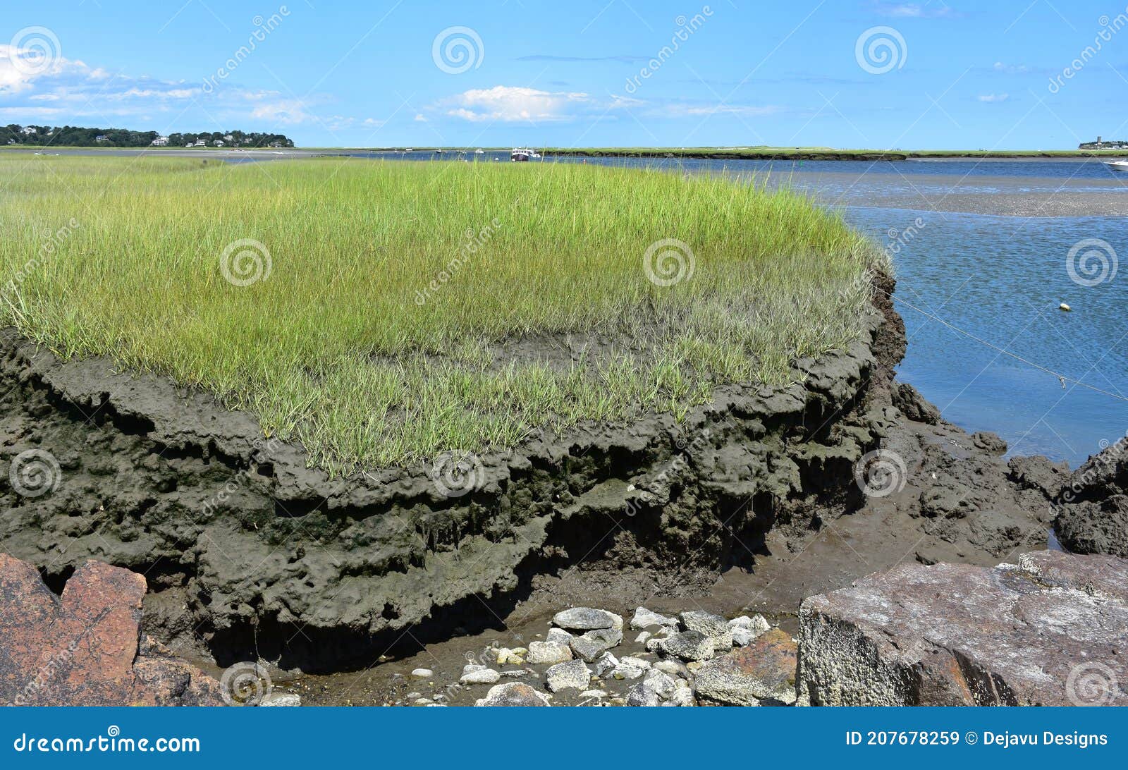 Thick Layers of Muck and Mud in Marshland Stock Image - Image of water ...