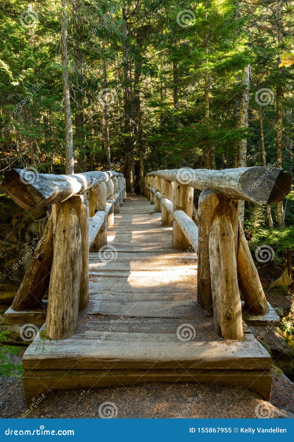 Thick Log Bridge Over Gorge Stock Image - Image of national, large ...