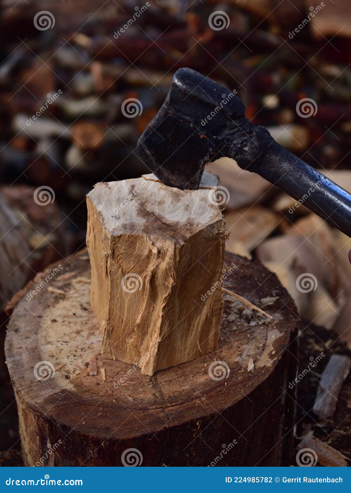 A Thick Log of Wood Being Chopped for Firewood Stock Photo - Image of ...