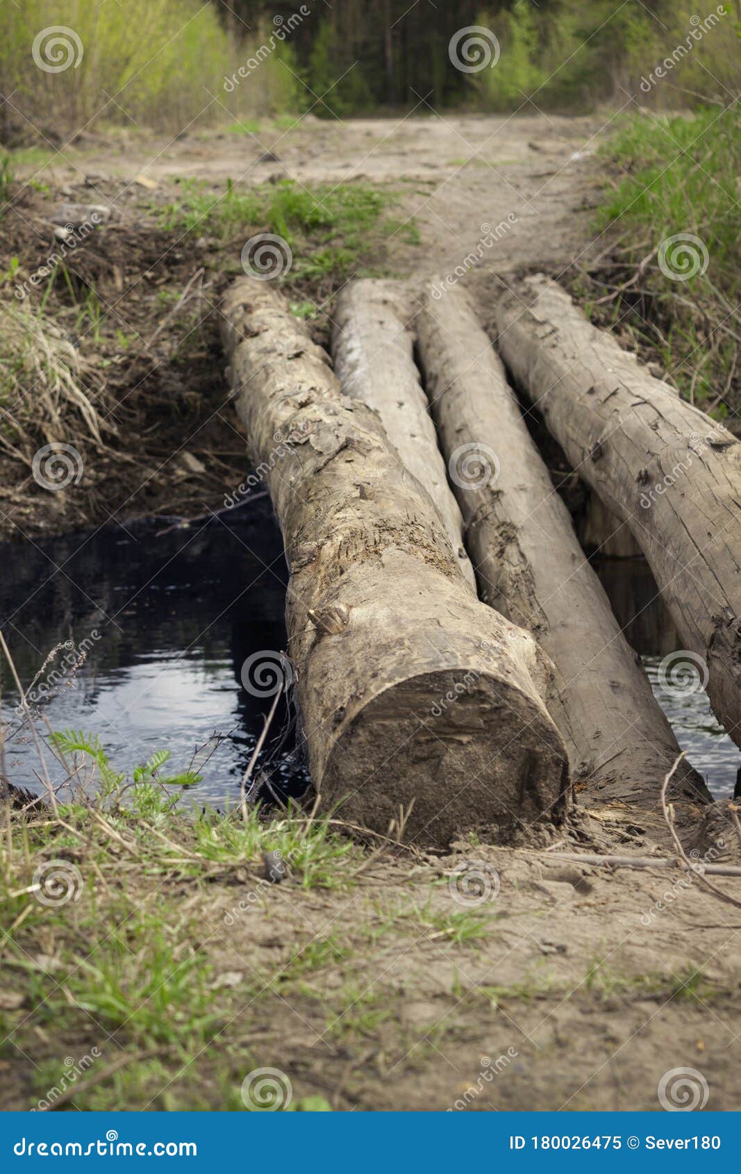 Thick Logs As a Crossing Over a Stream. Spring Stock Image - Image of ...