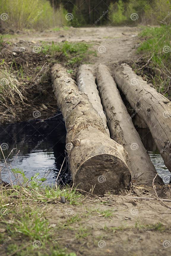 Thick Logs As a Crossing Over a Stream. Spring Stock Image - Image of ...