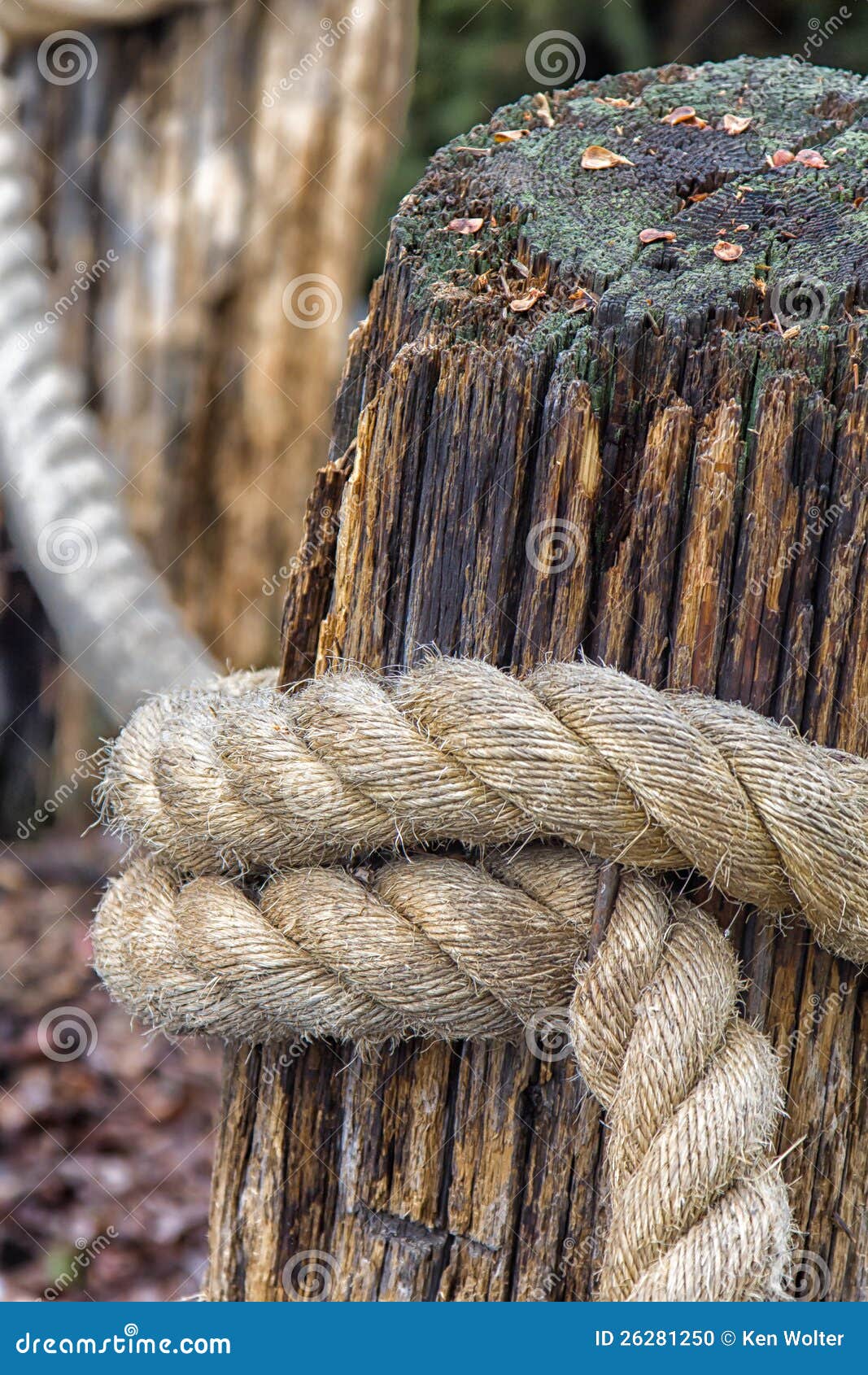 Thick Rope stock photo. Image of tied, safety, guard - 26281250