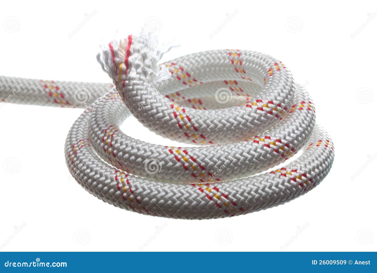 Thick rope bunch stock image. Image of isolated, thick - 26009509