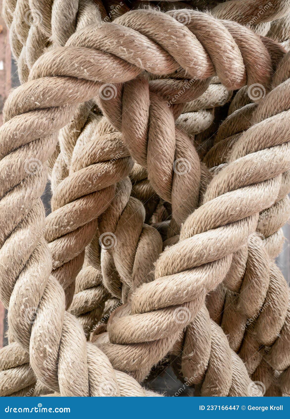 Thick Rope Stock Image | CartoonDealer.com #237166447