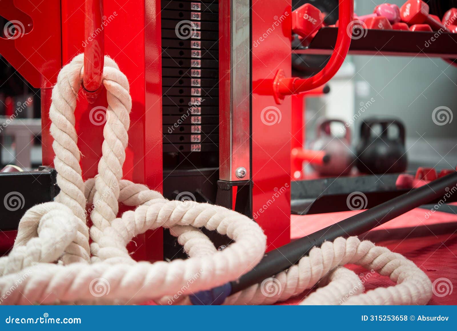 Thick Rope for Crossfit Training in the Gym Stock Photo - Image of ...