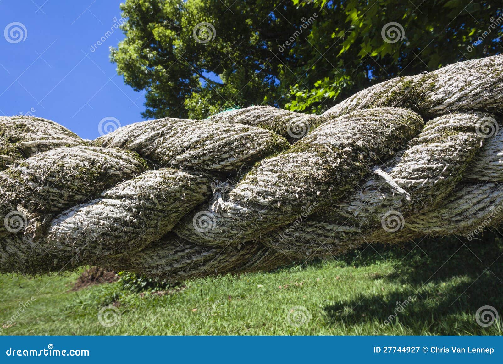 Thick Rope Old stock image. Image of fiber, portion, moss - 27744927