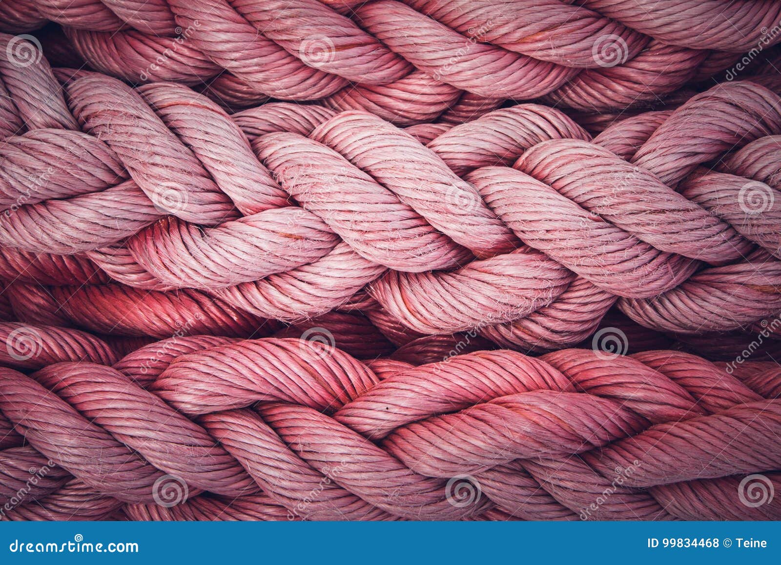 Thick rope stock photo. Image of line, thick, marine - 99834468