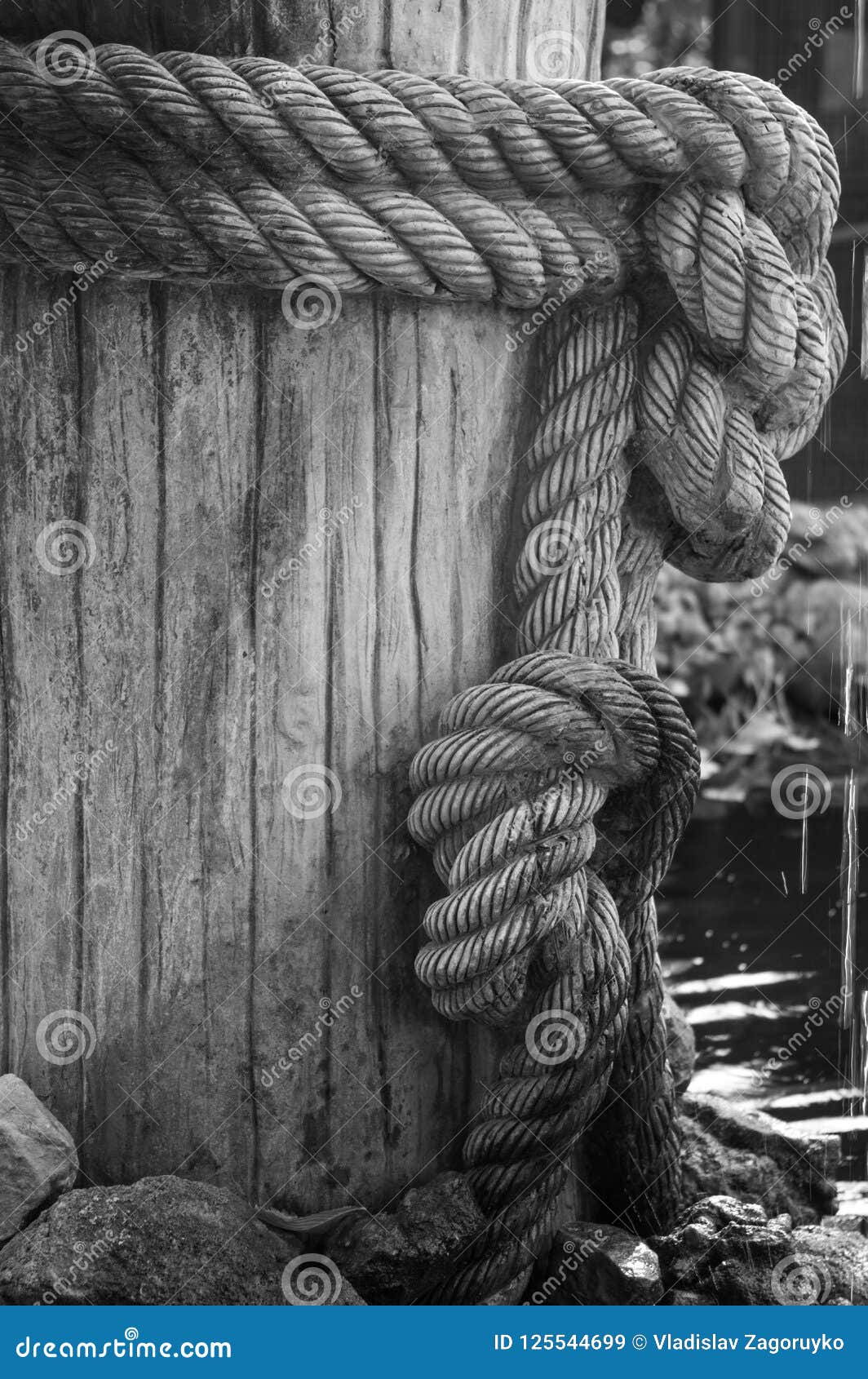 Thick Rope Wrapped Around a Post Stock Image - Image of pond, white ...