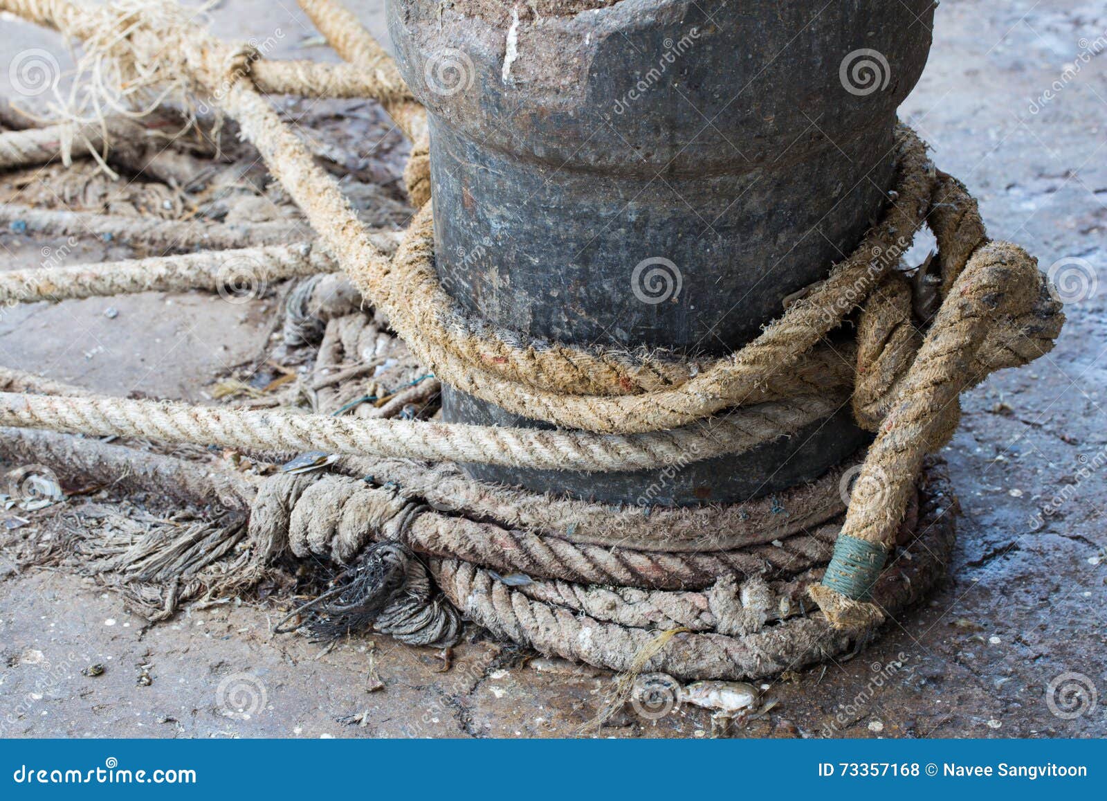 Thick ropes wrapped around stock photo. Image of ropes - 73357168