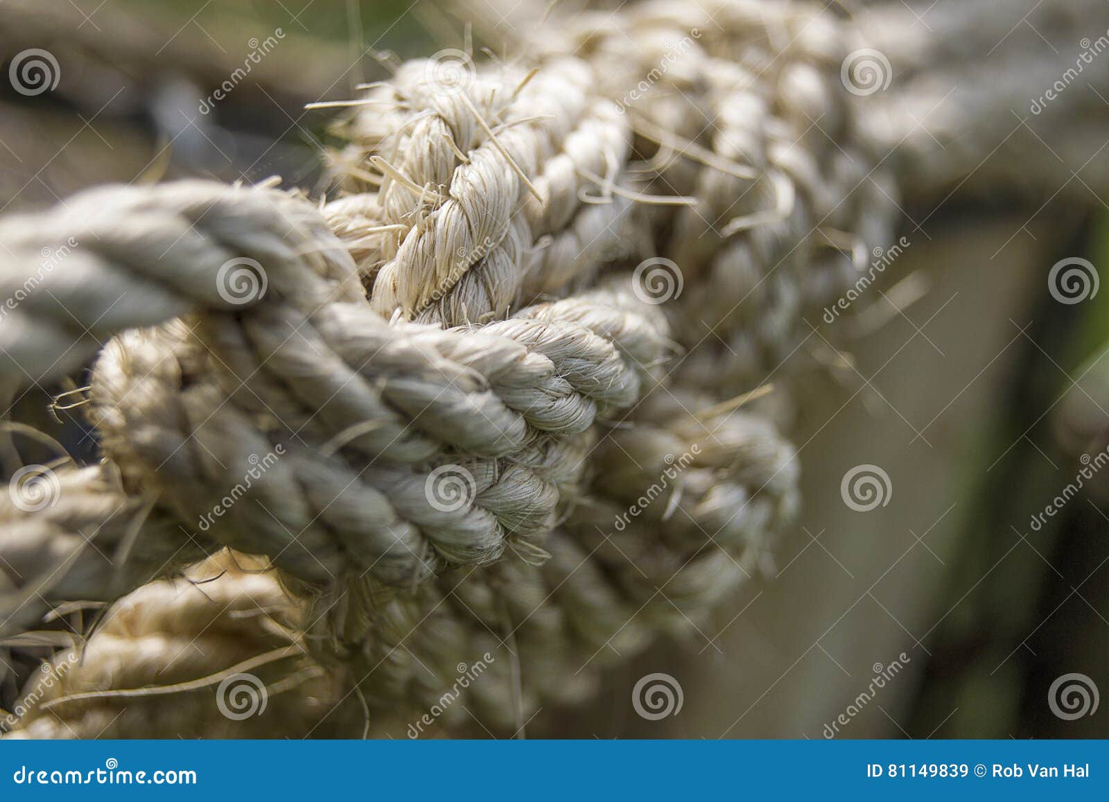 Thick and rough rope stock image. Image of background - 81149839